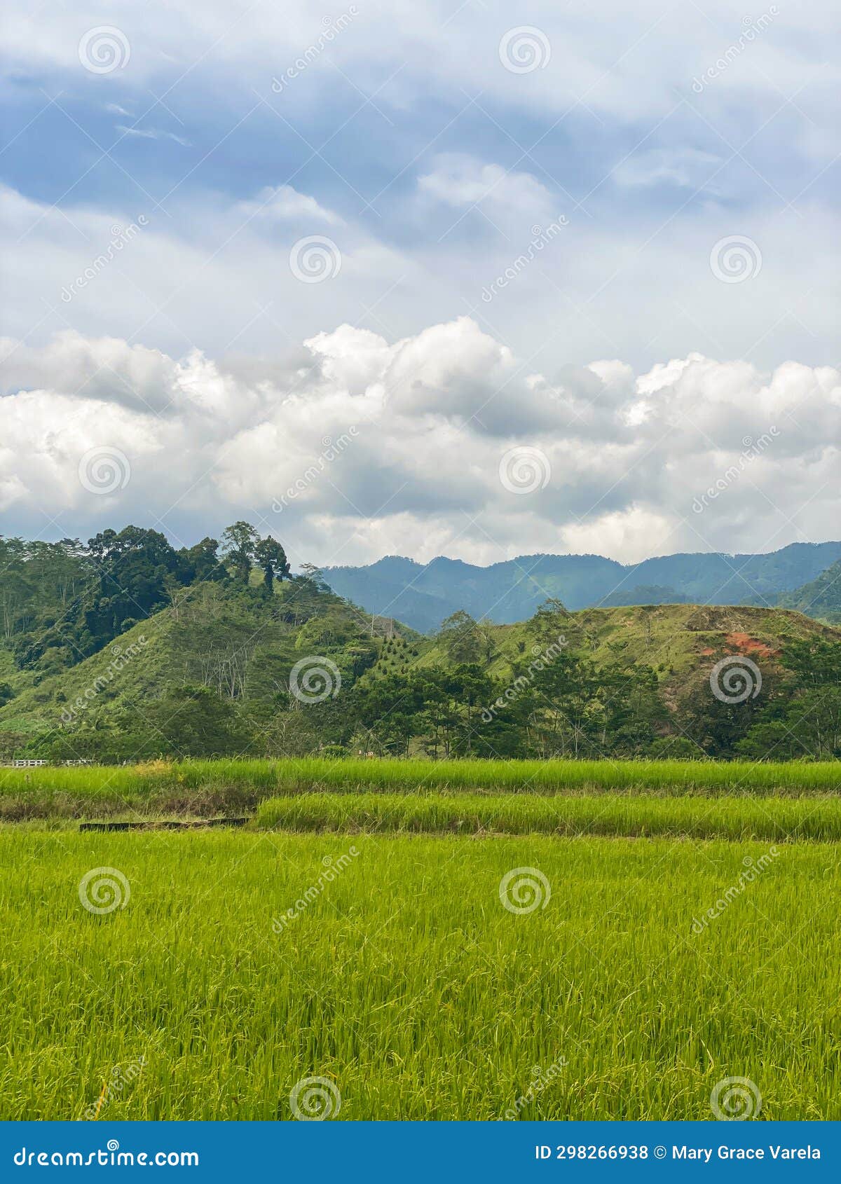 Tropical Mountain with Rice Fields. Philippines. Stock Photo - Image of ...