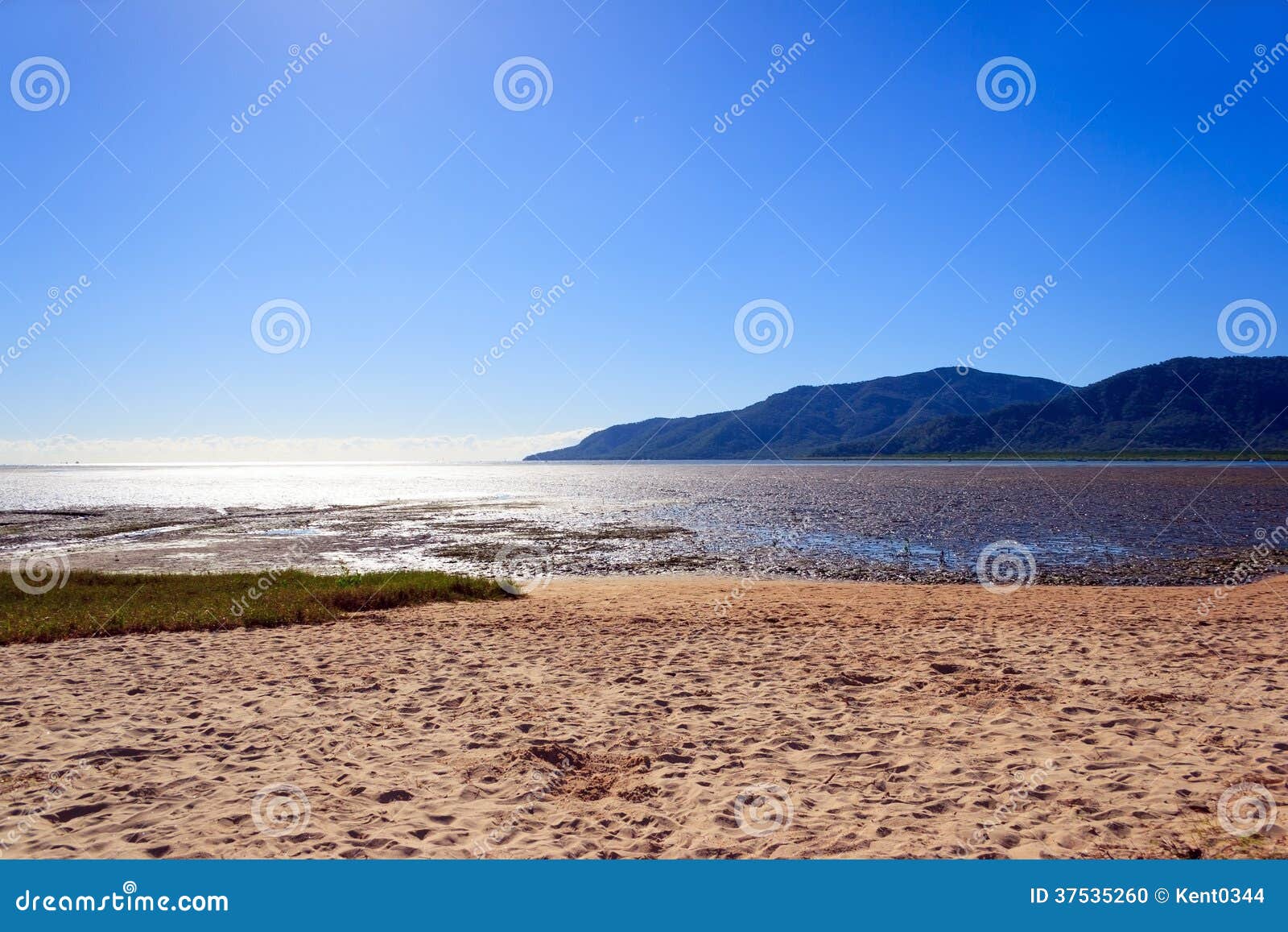Tropical mudflat beach stock photo. Image of australia - 37535260