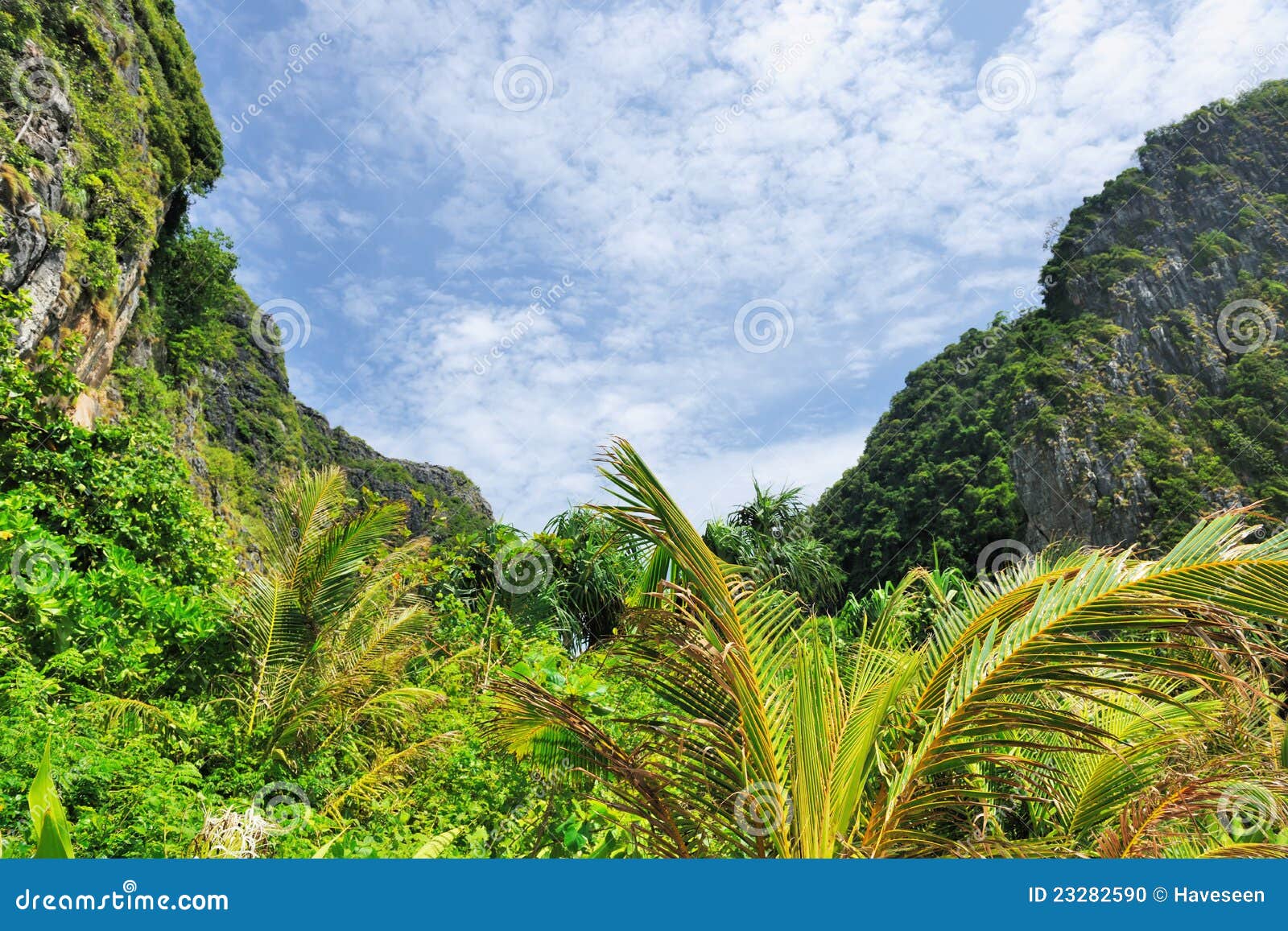 Tropical nature stock photo. Image of exotic, landscape - 23282590