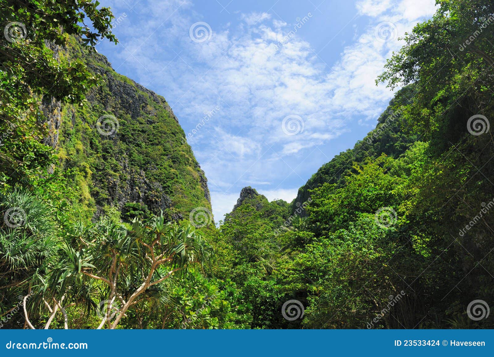 Tropical nature stock photo. Image of scenery, destination - 23533424