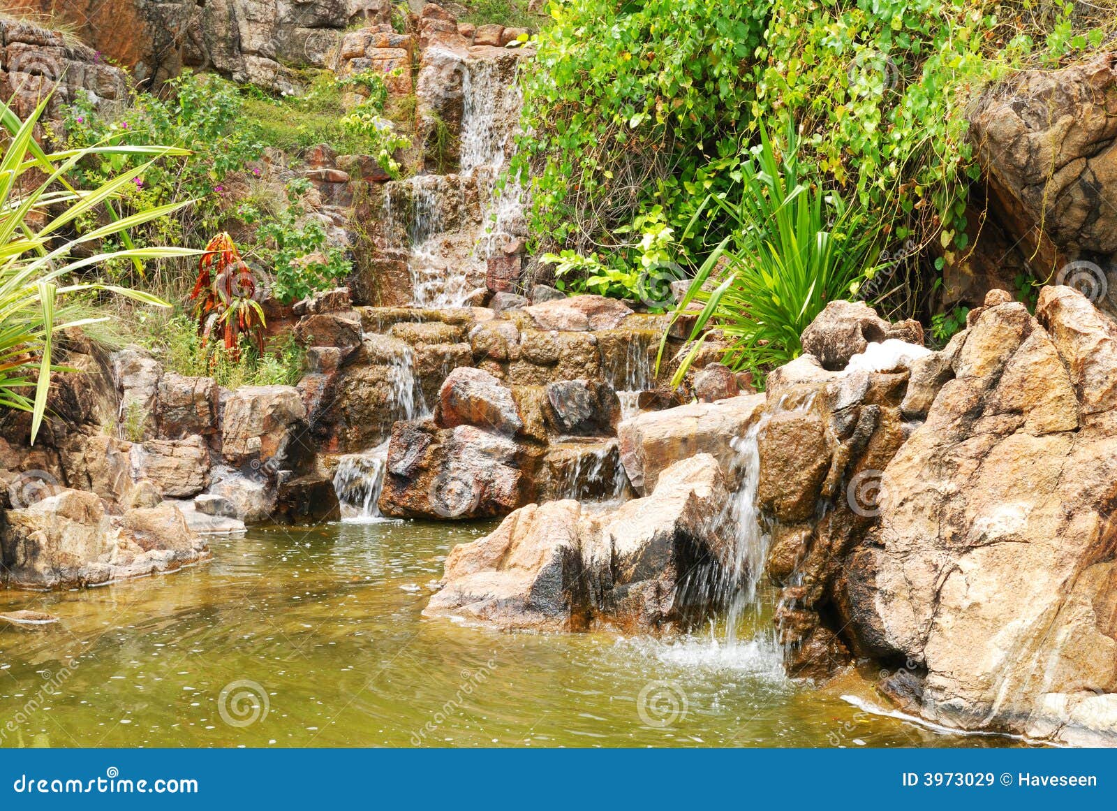 Tropical nature stock image. Image of climate, nature - 3973029