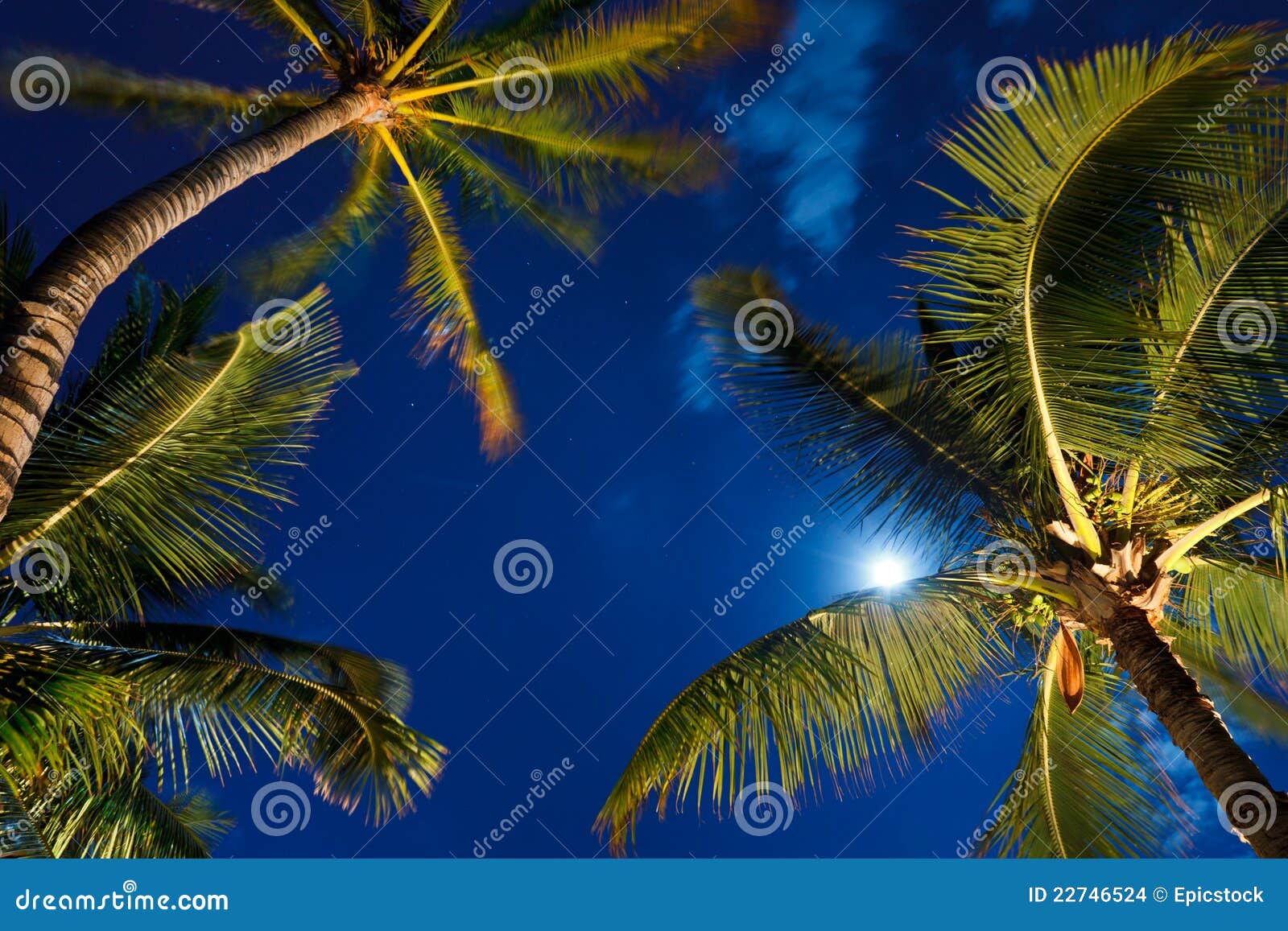 Tropical Night Sky stock photo. Image of hawaii, dusk - 22746524