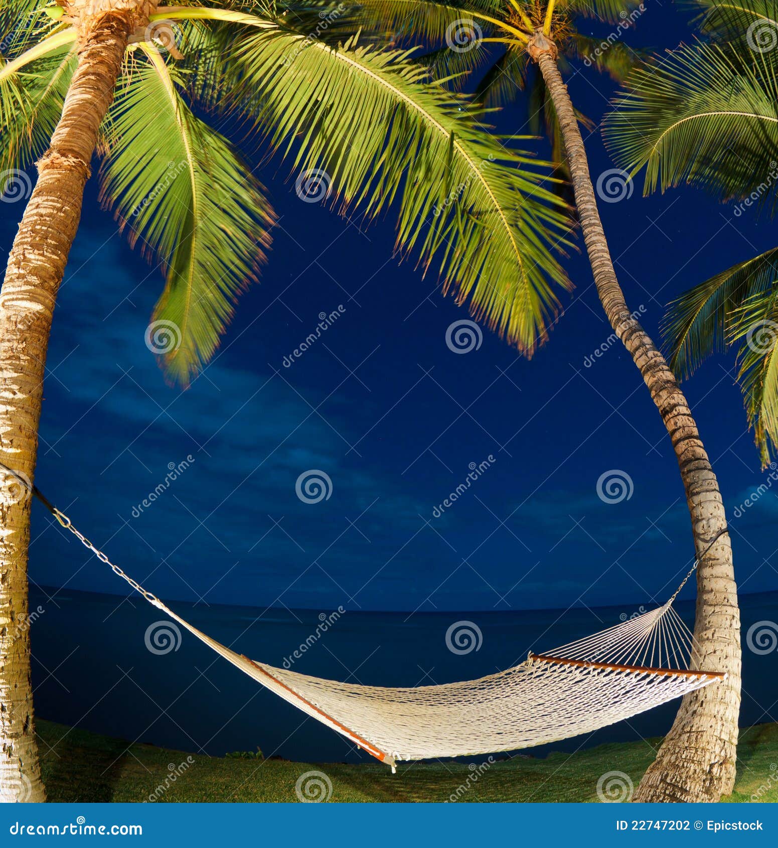Tropical Night Sky stock photo. Image of paradise, exotic - 22747202