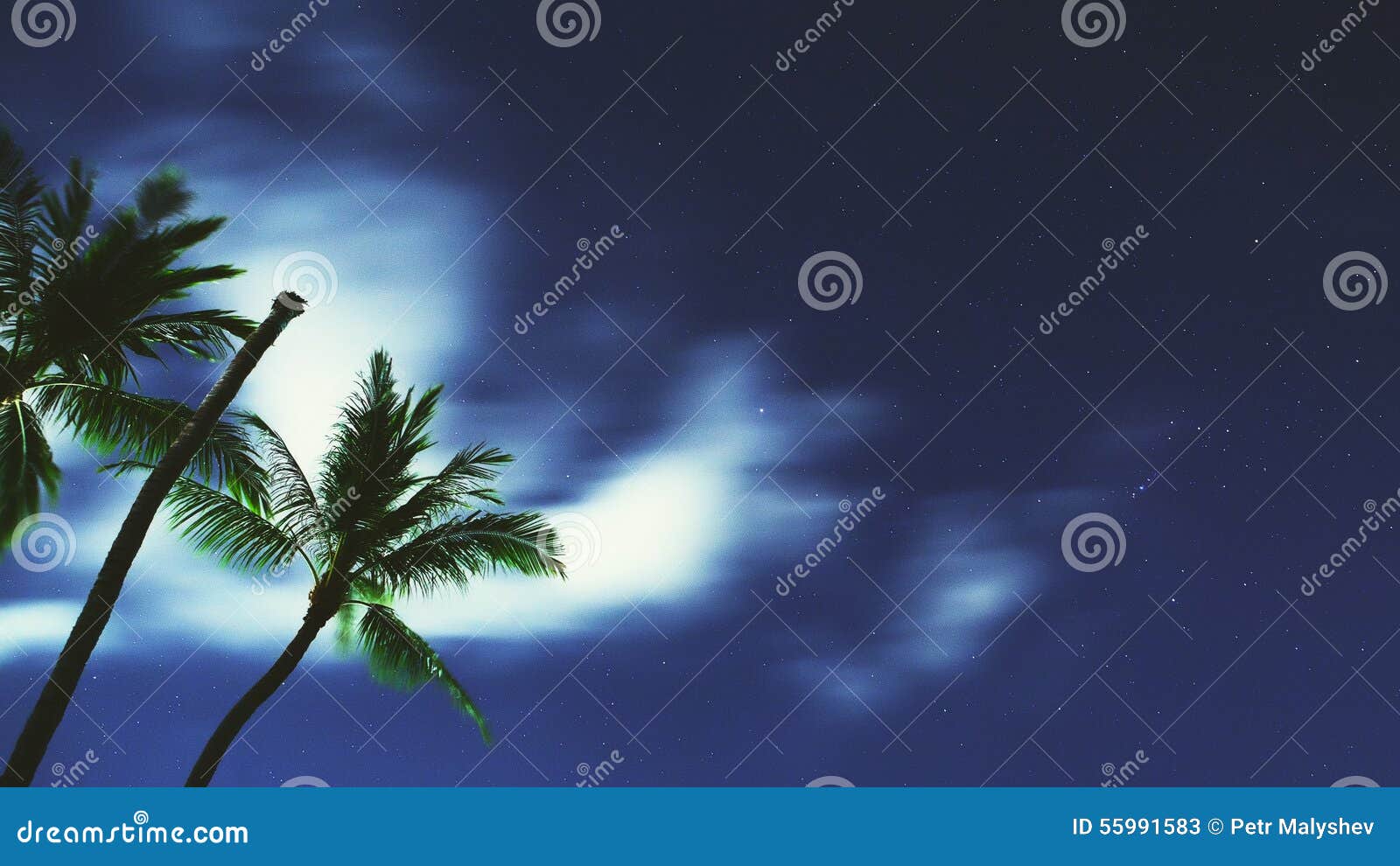 Tropical Night Sky stock image. Image of idyllic, paradise - 55991583