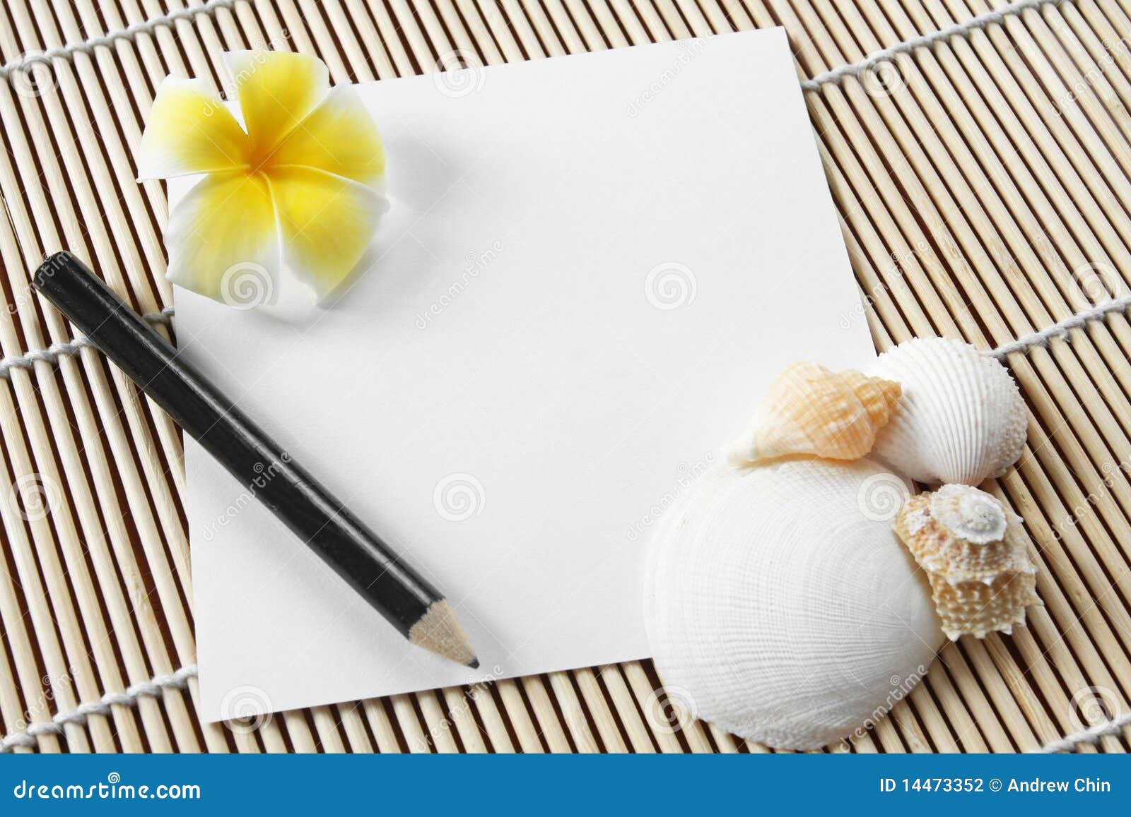 Tropical Note stock photo. Image of memo, paper, flower - 14473352
