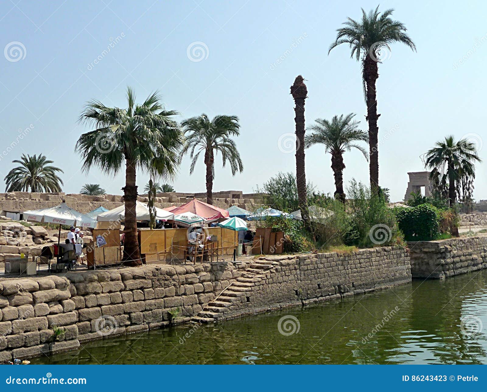 Oasis in Egypt editorial stock photo. Image of woman - 86243423