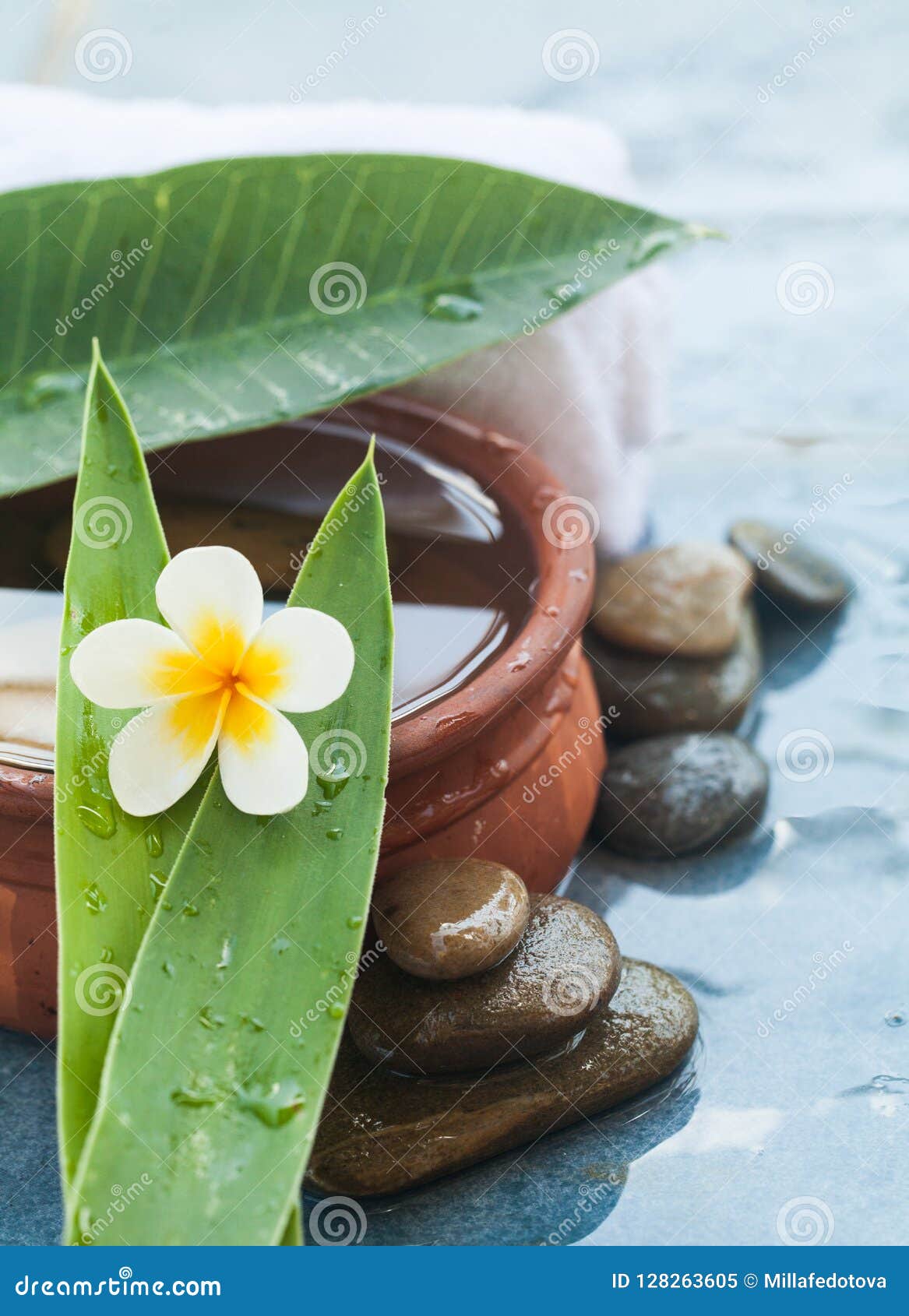 Tropical Objects for Massage and Spa Salon Concept Stock Image - Image ...