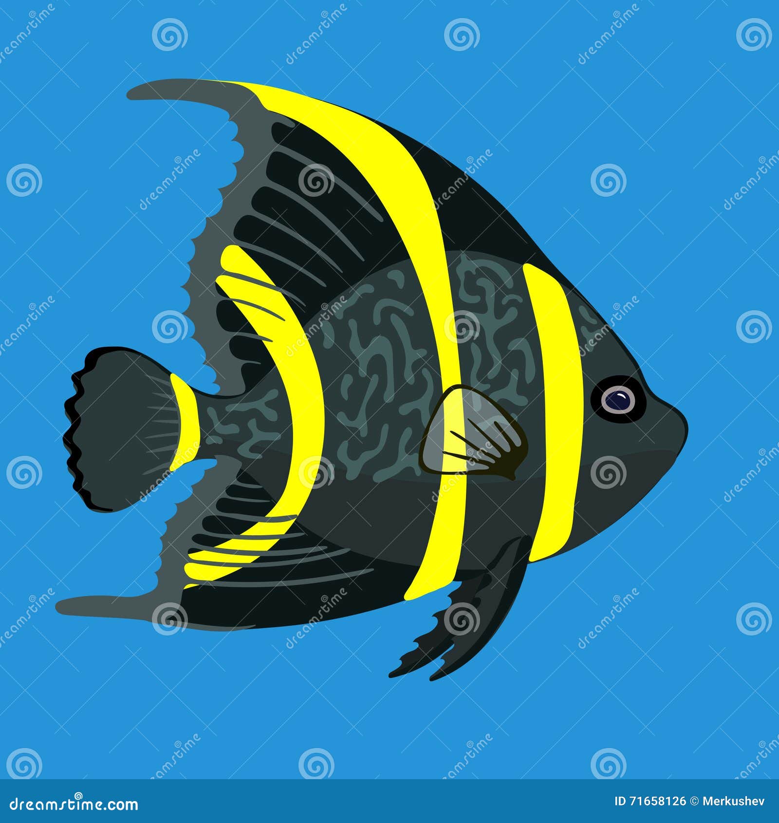 Tropical Ocean Angel Fish, Vector Illustration Stock Vector ...