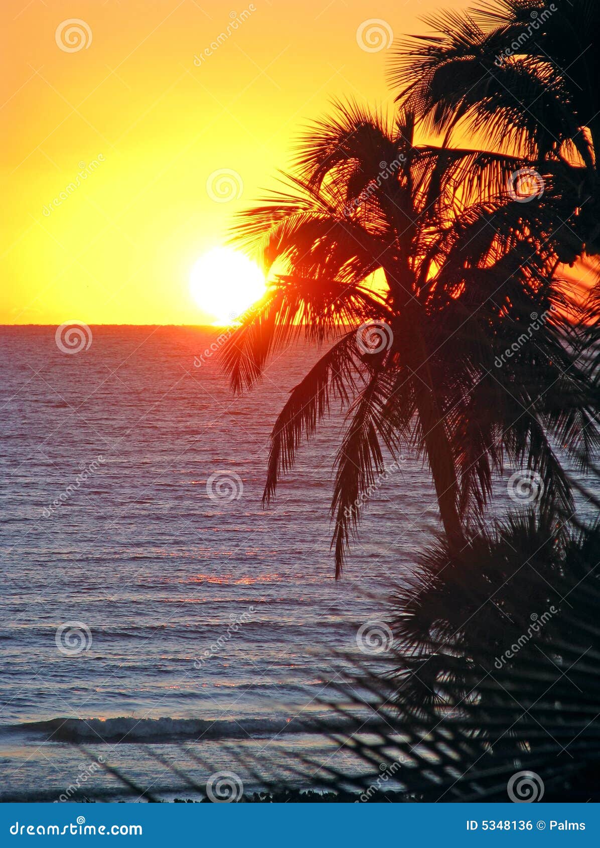 Tropical ocean sunset stock photo. Image of oceanfront - 5348136