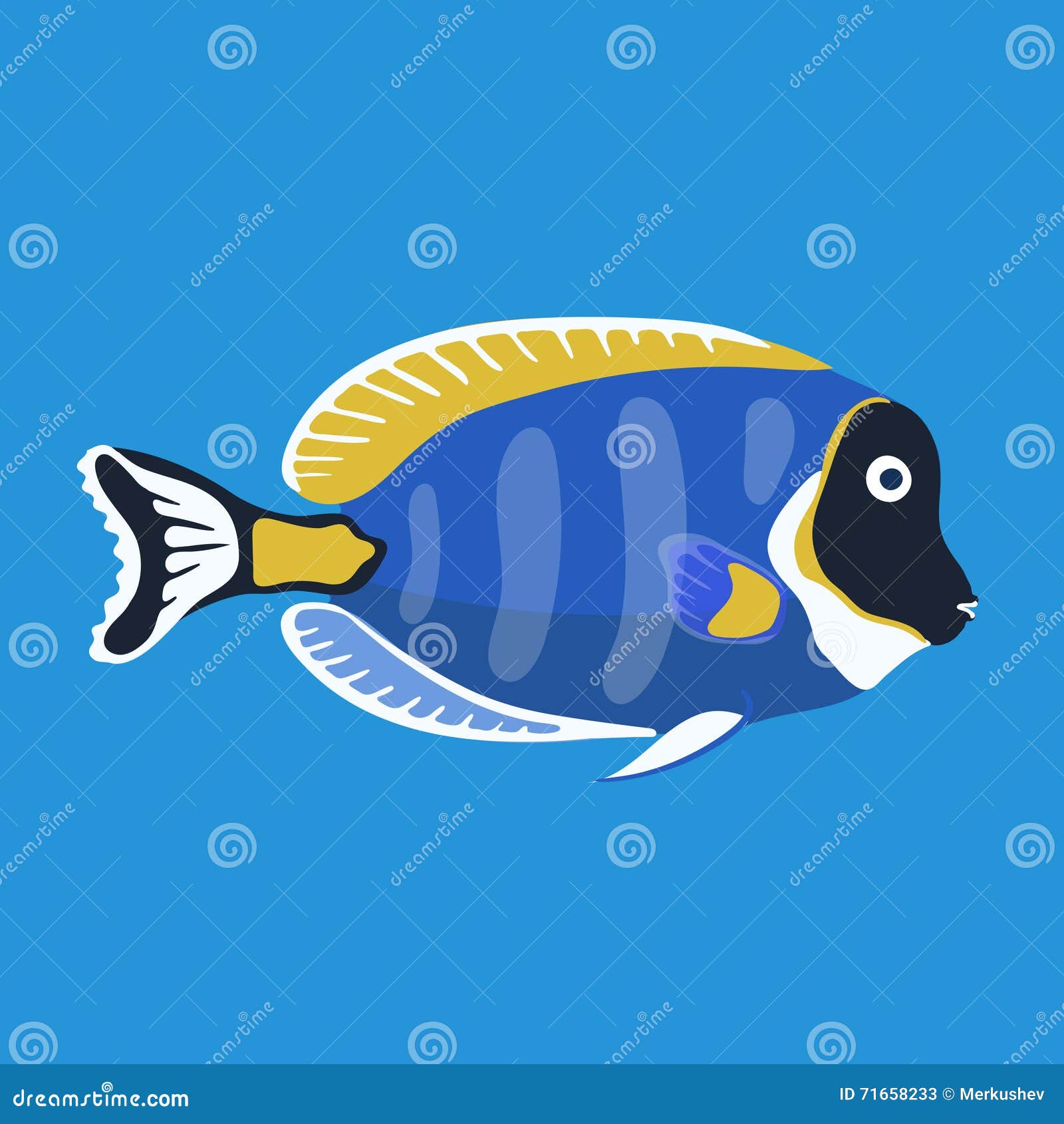 Tropical Ocean Surgeon Fish, Vector Illustration Stock Vector ...