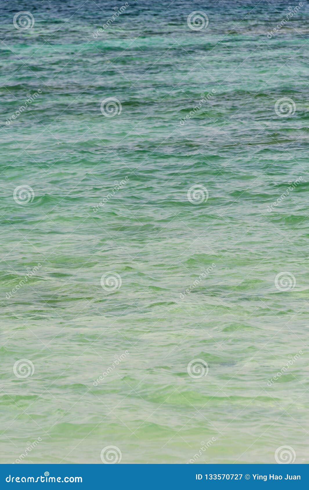 Tropical ocean colors stock image. Image of clear, ocean - 133570727