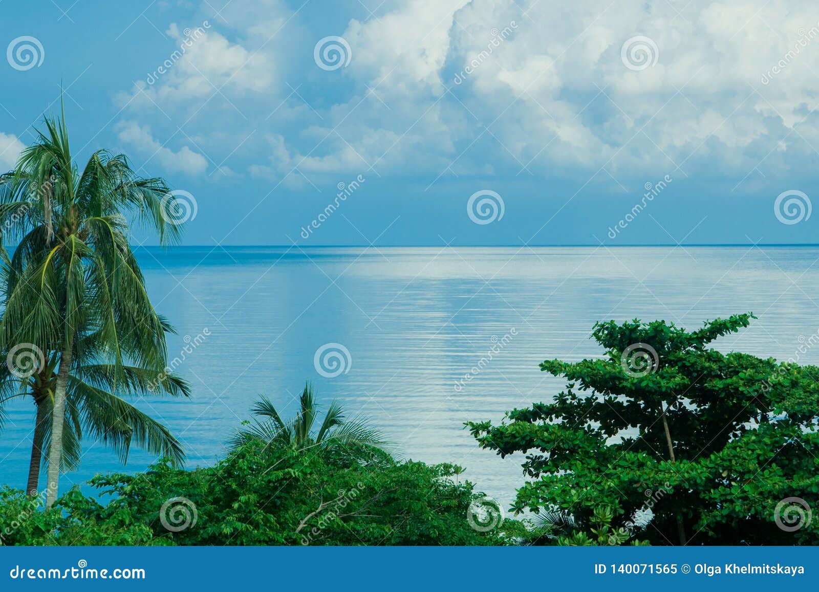 Tropical Ocean View with Palm Tree Stock Image - Image of summer ...