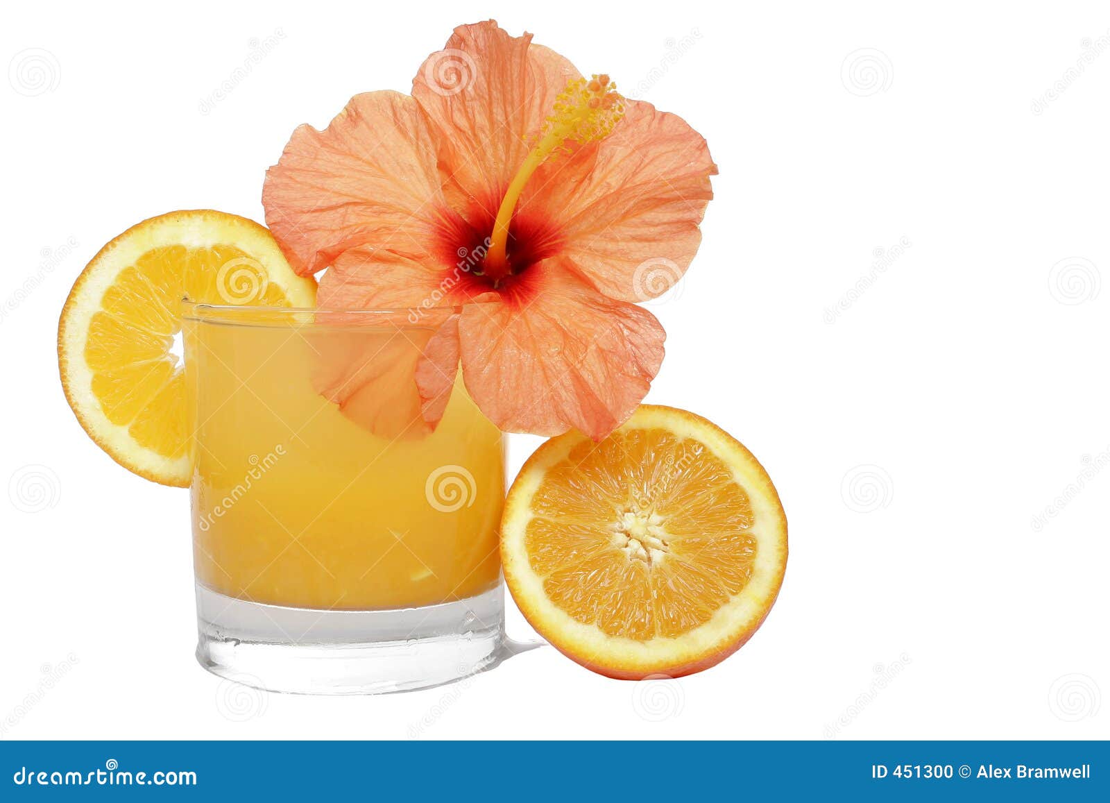 Tropical Orange stock photo. Image of glass, breakfast - 451300