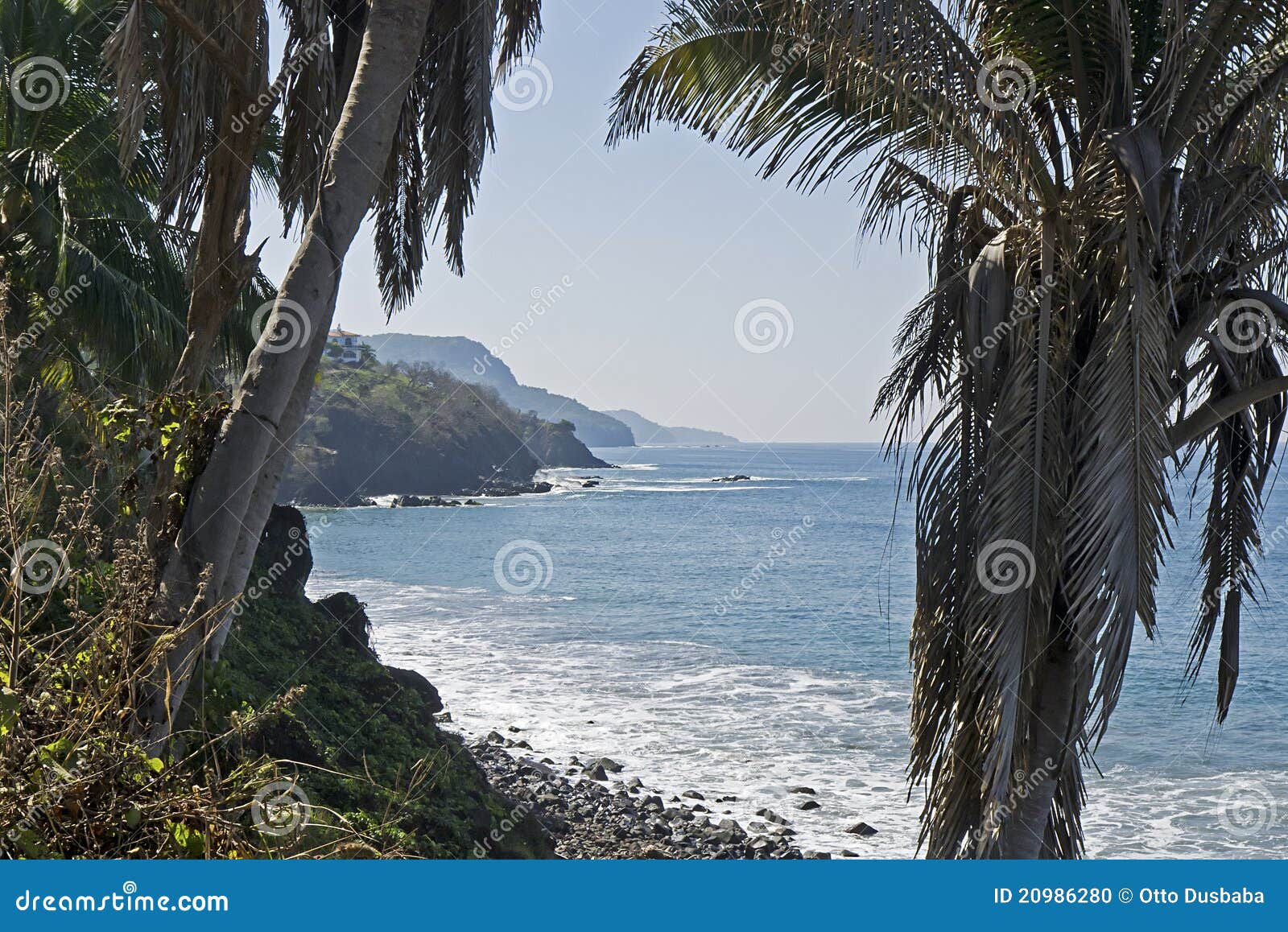 Tropical Pacific Ocean Coast Stock Photo - Image of surf, trees: 20986280