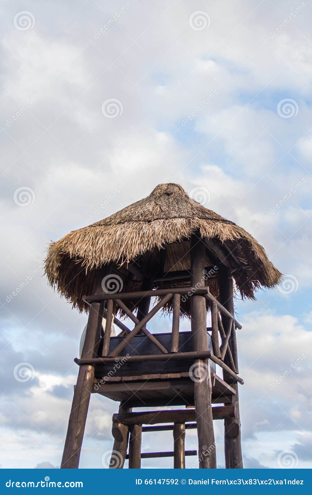 Tropical Palm Hut stock photo. Image of palms, torre - 66147592