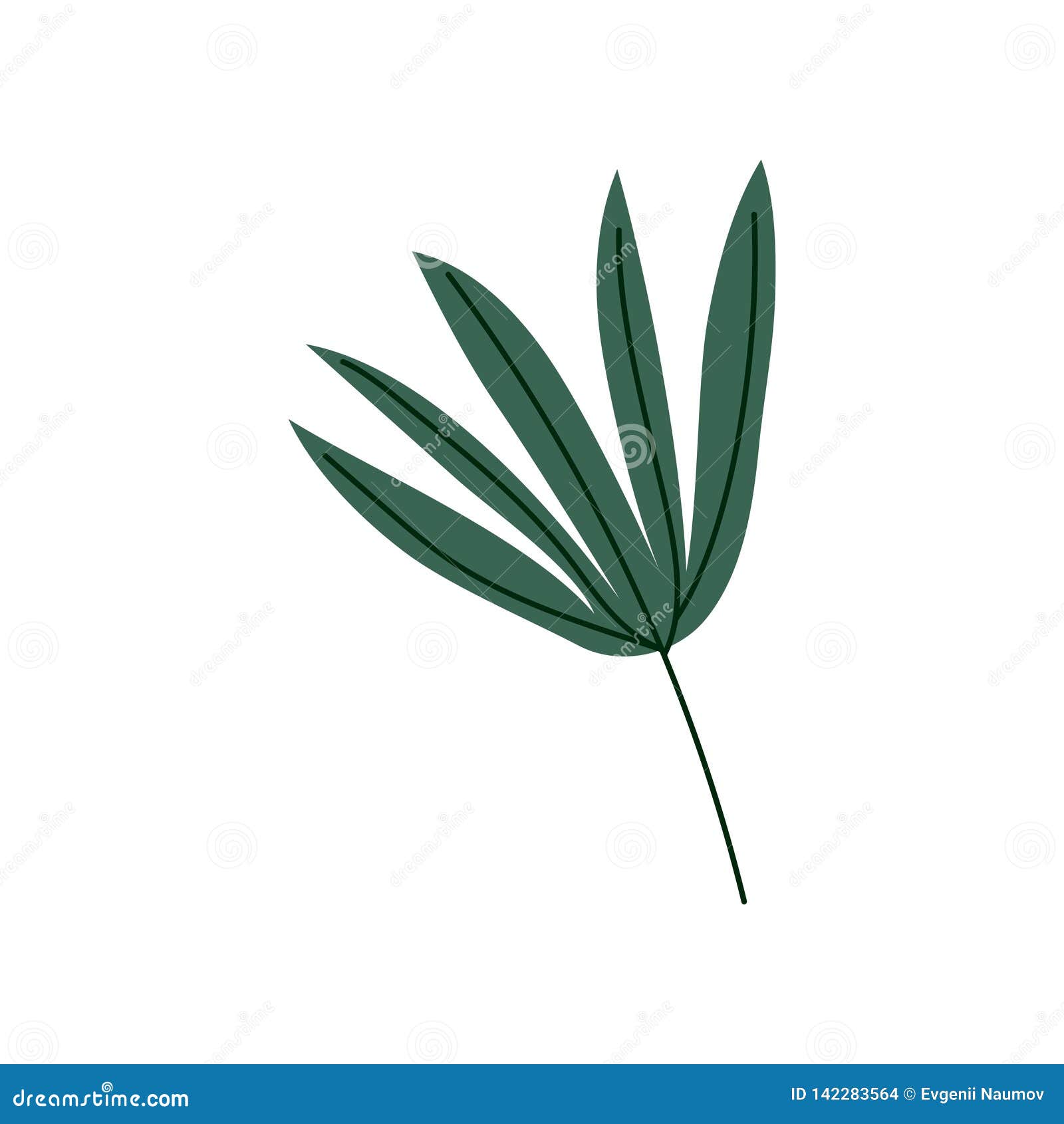 Tropical Palm Split Leaf, Botanical Design Element Vector Illustration ...