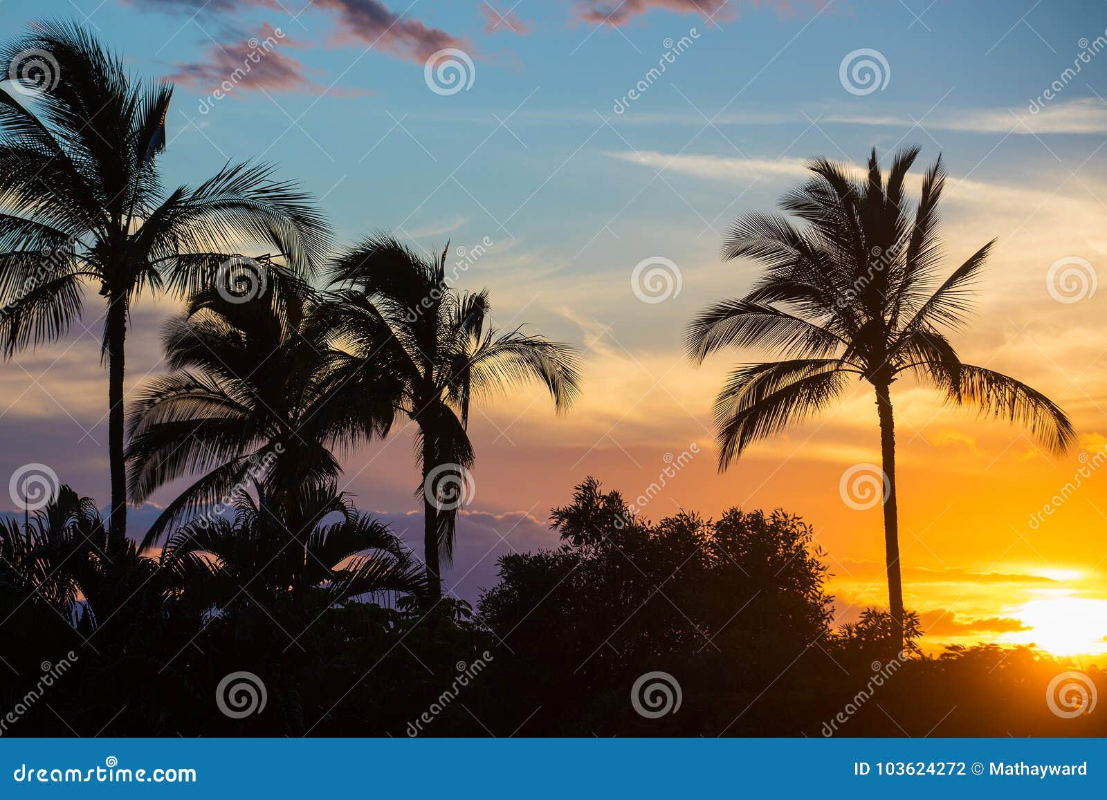 Palm Trees at an Island Sunset Stock Photo - Image of hawaiian, ocean ...