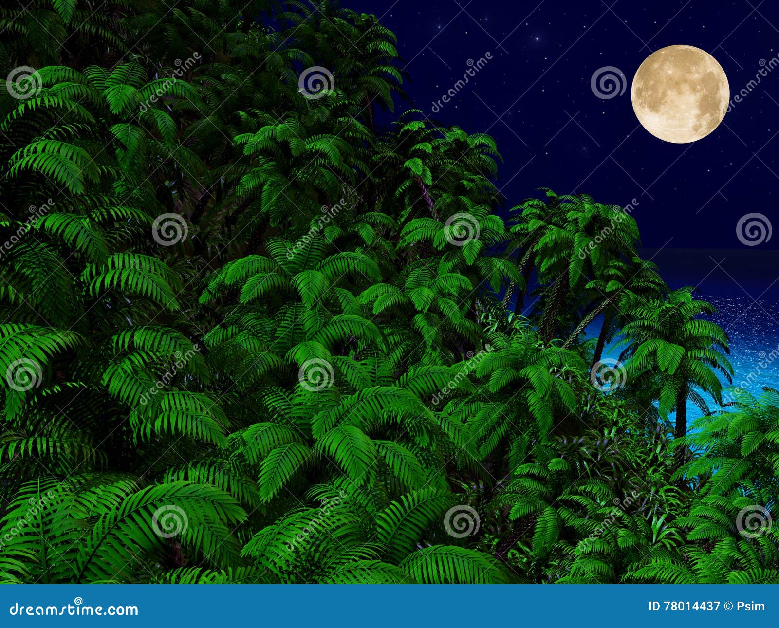 Tropical Palm Trees and Ocean at Night Stock Illustration ...