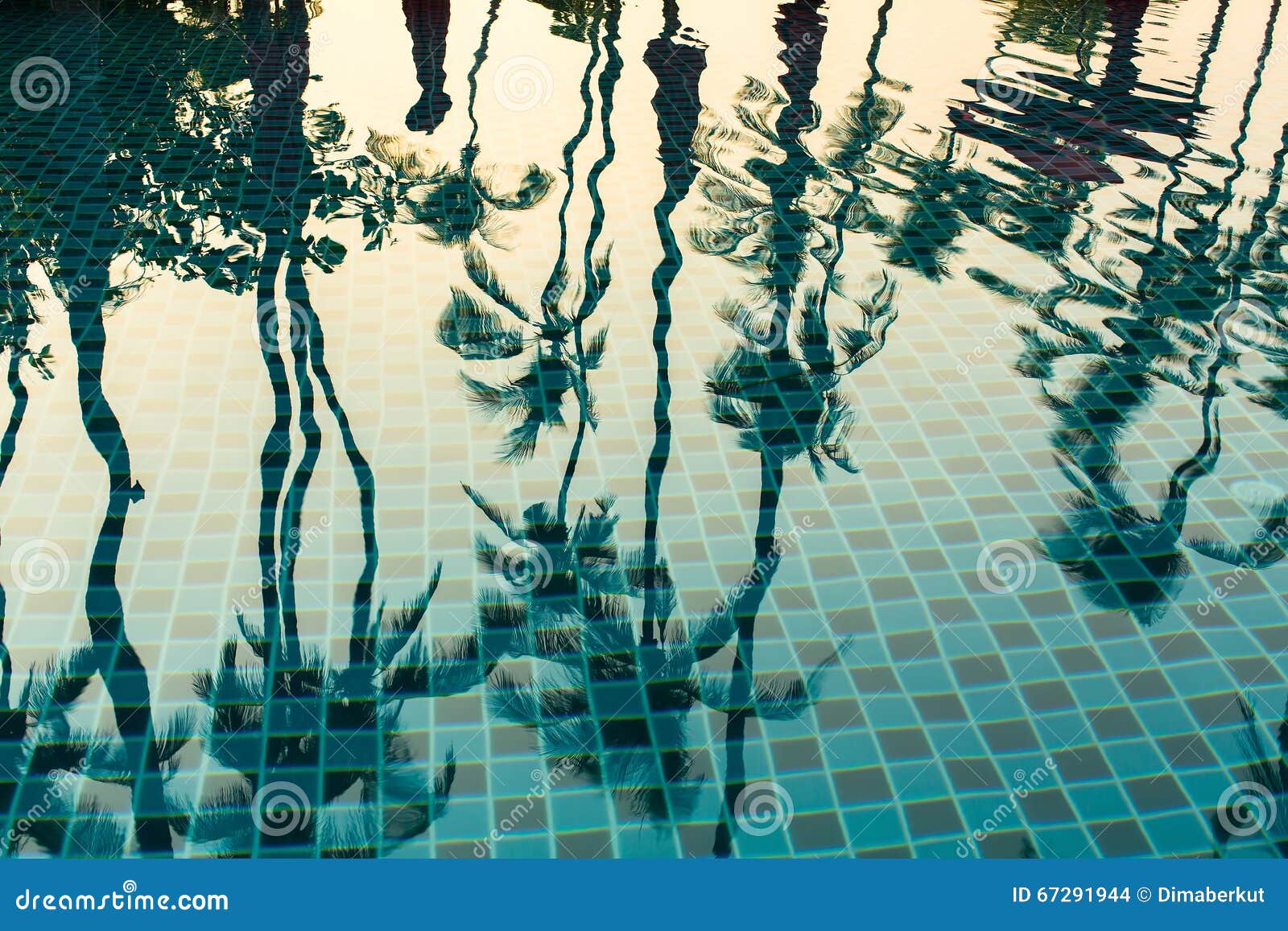 Tropical Palm Trees Reflection in the Water Pool. Asia. Stock Photo ...