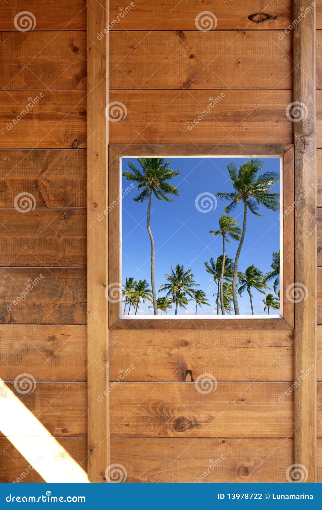 Tropical Palm Trees View from Wooden Window Stock Photo - Image of ...