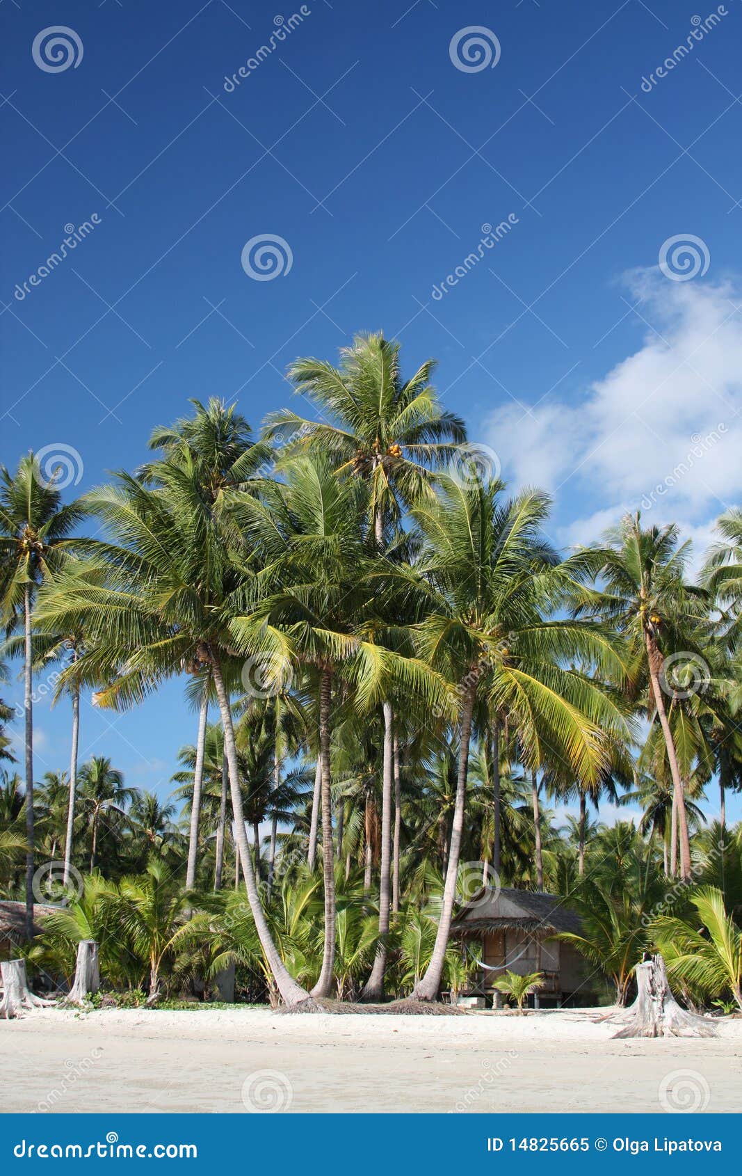 Tropical Paradise stock image. Image of cloud, scene - 14825665