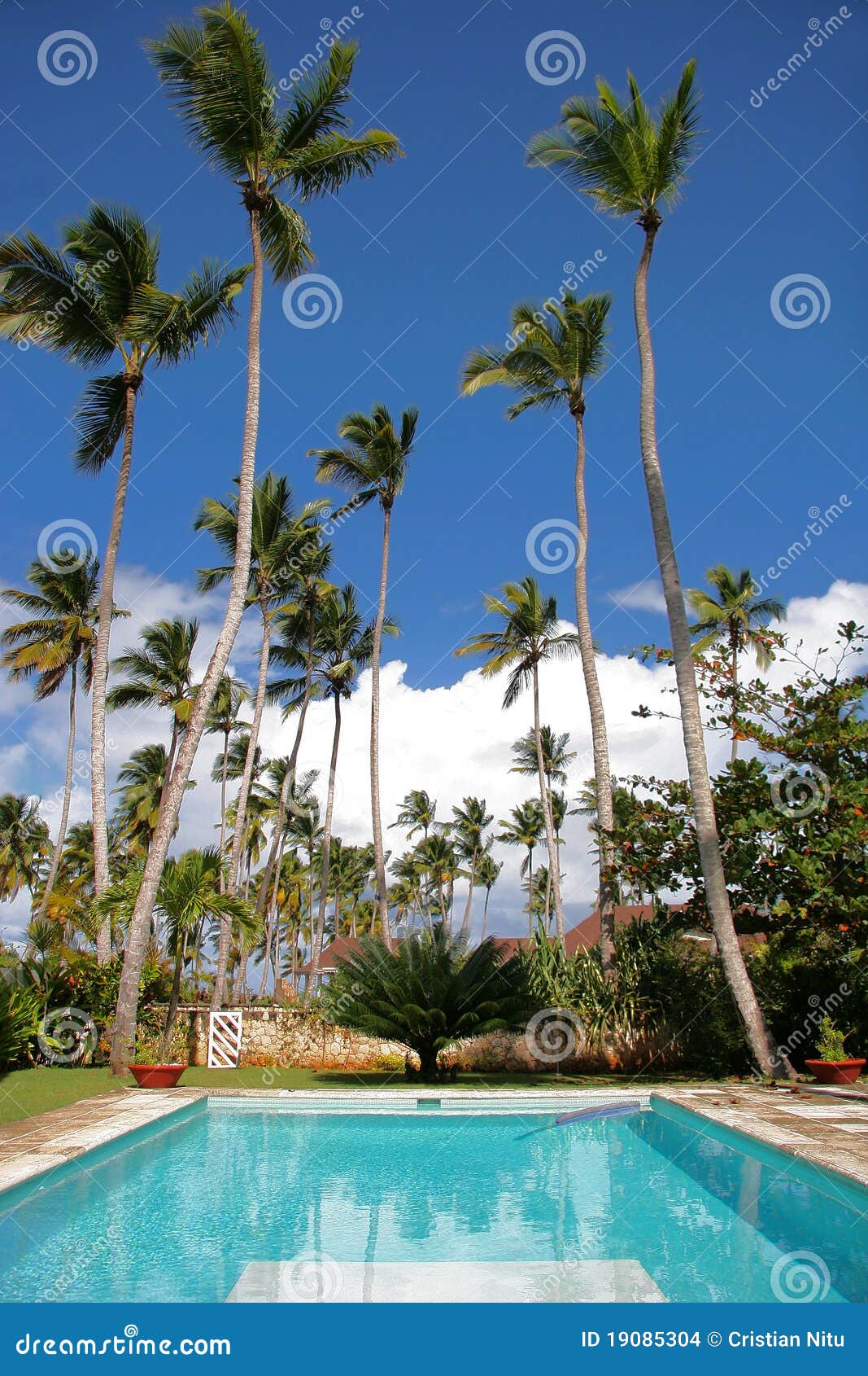 Tropical Paradise stock photo. Image of pool, chill, holiday - 19085304