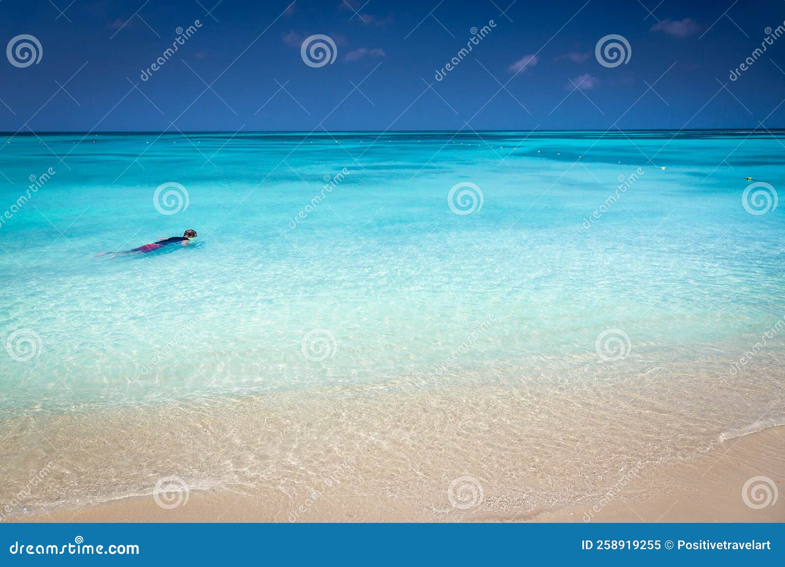 Aruba Idyllic Caribbean Beach At Sunny Day Dutch Antilles Caribbean