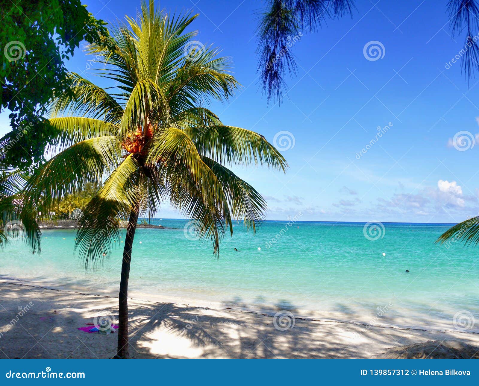 Tropical Paradise Island Mauritius, Indian Ocean Island Stock Photo ... Tropical Paradise Island Mauritius, Indian Ocean Island Stock Photo ...