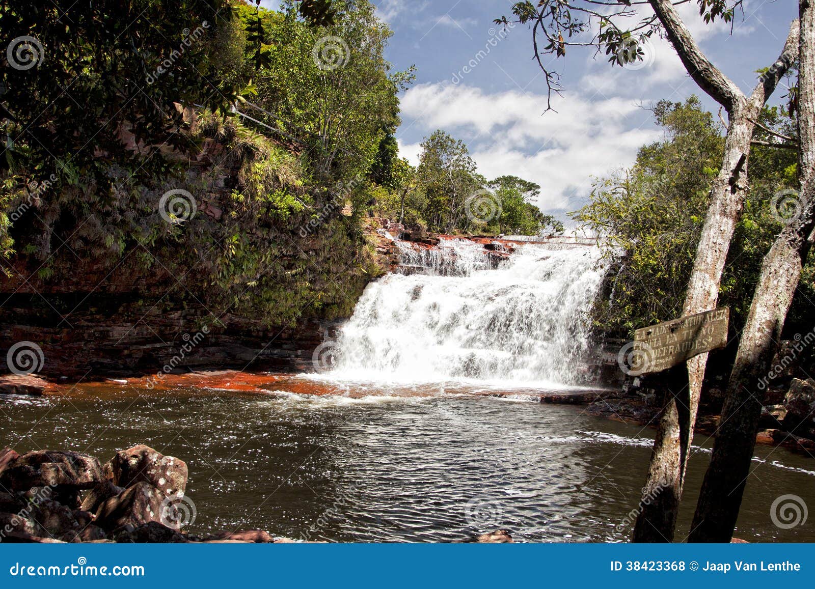 Tropical Paradise Waterfall in Venezuela Stock Photo - Image of plants ...