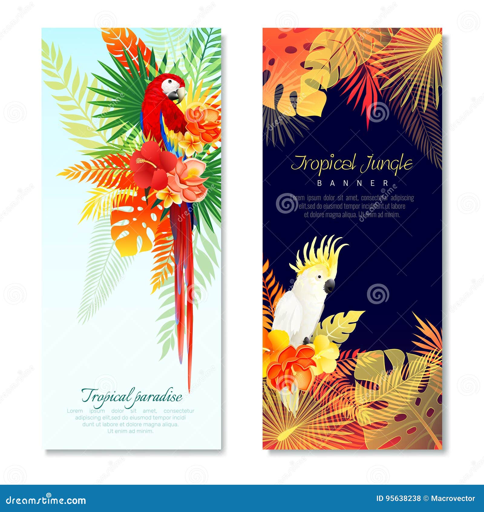 Tropical Parrots Vertical Banners Stock Vector - Illustration of ...