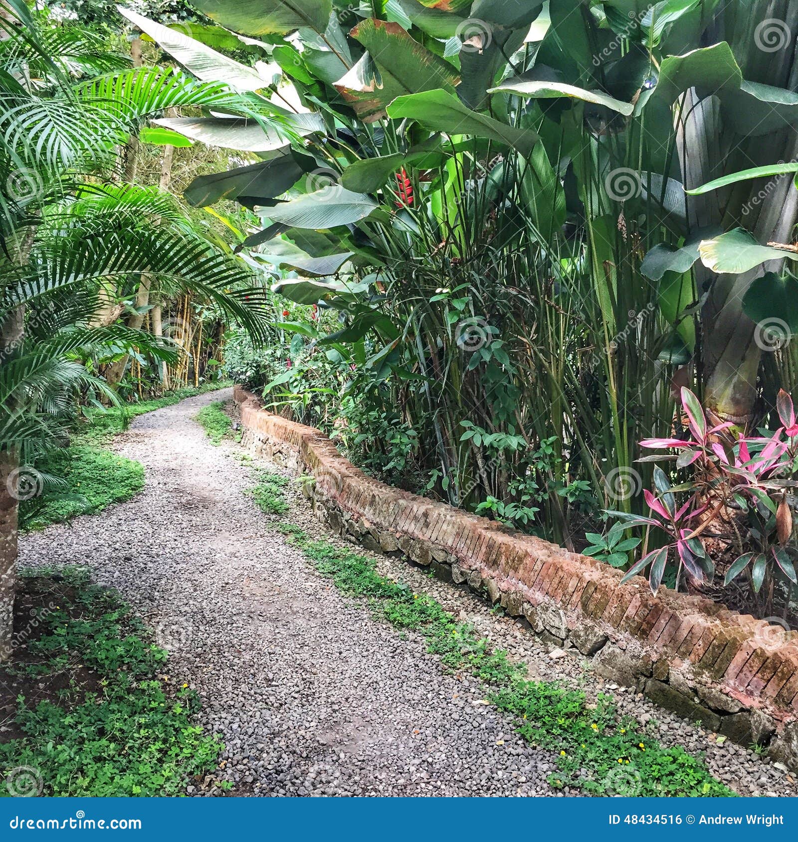 Tropical path in Bali editorial photo. Image of tropical - 48434516