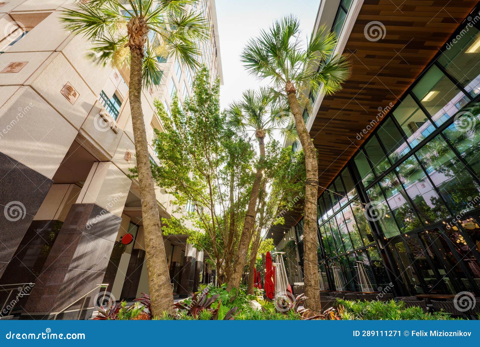 Tropical Pathway between Office Buildings with Dining Tables Stock ...
