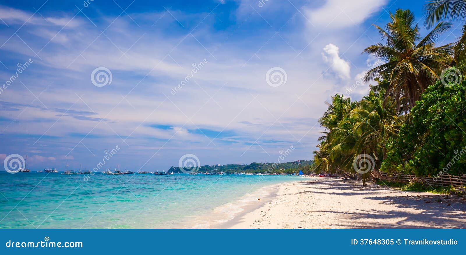 Tropical Perfect Beach with Beautiful Palms and Stock Image - Image of ...