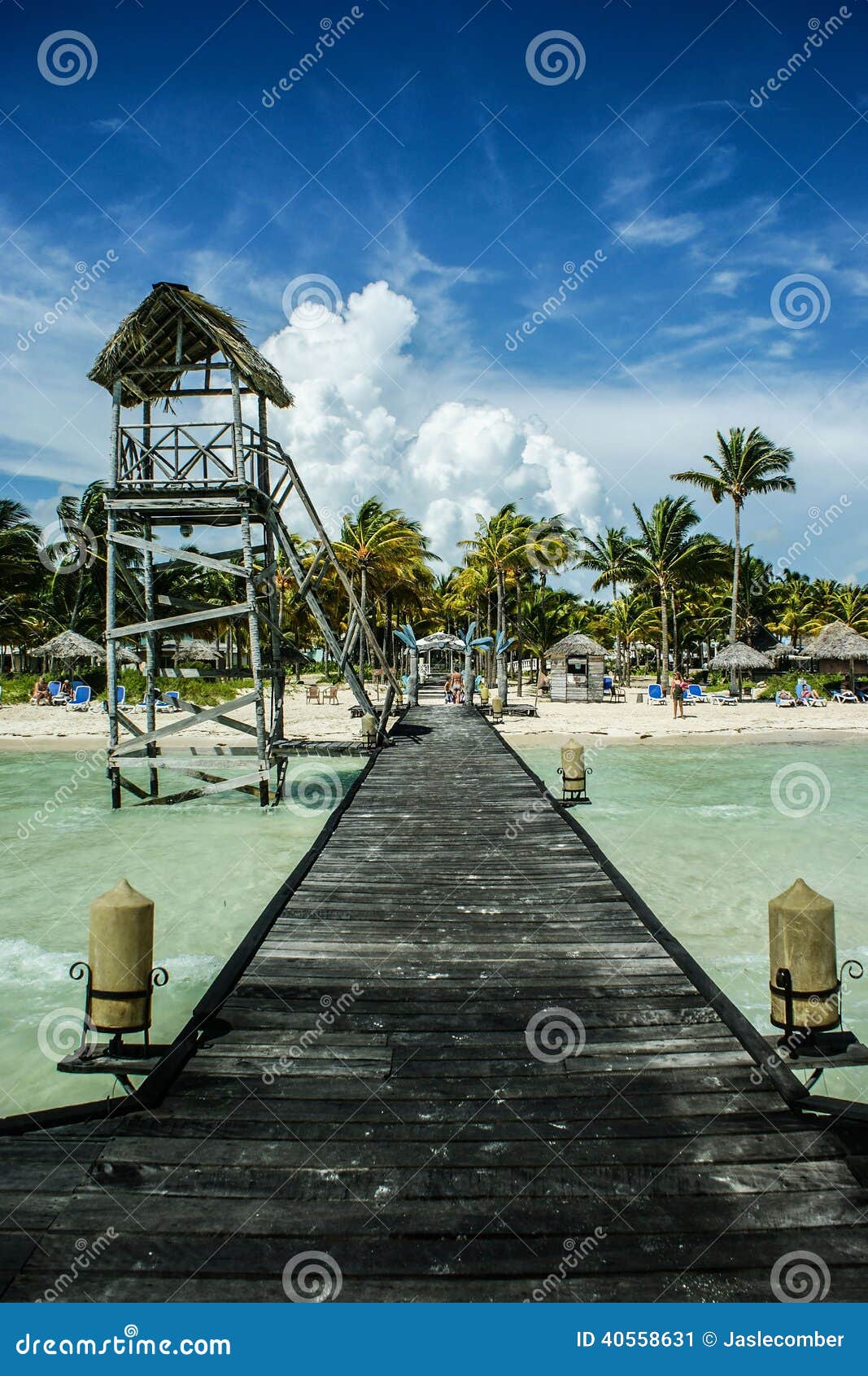 Tropical pier stock image. Image of palmtrees, beautiful - 40558631