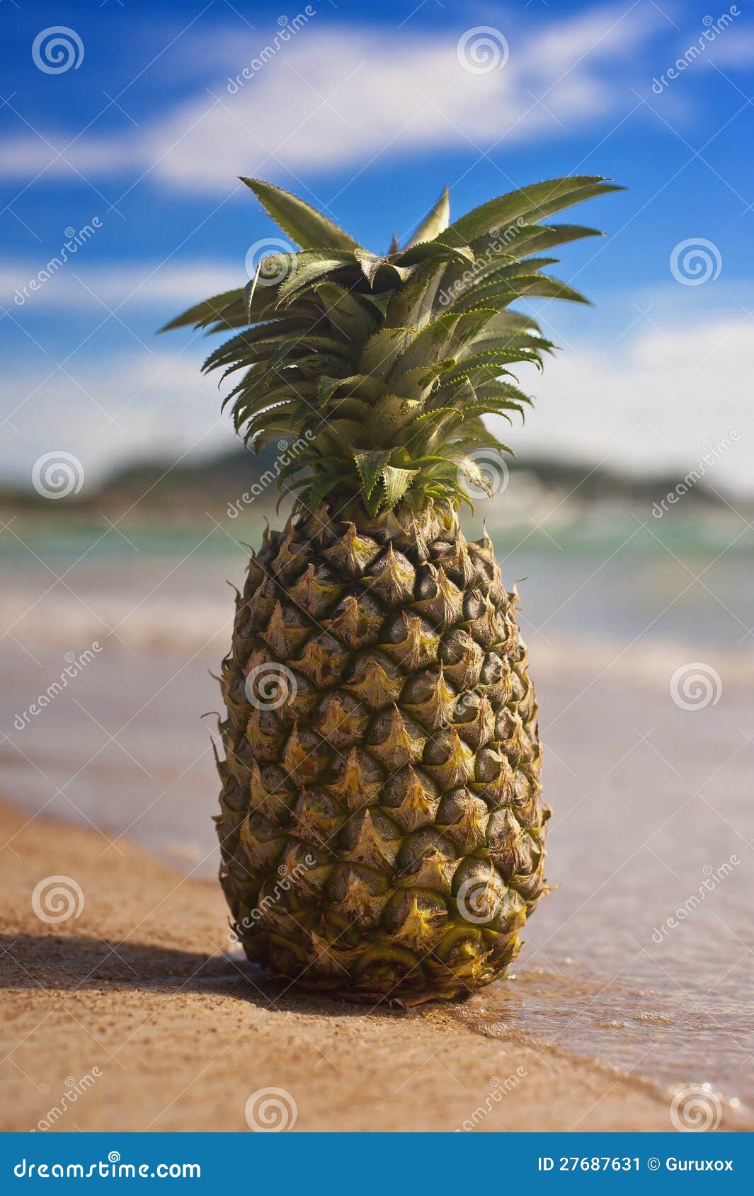 Tropical Pineapple in the Sea on an Exotic Beach. Stock Image - Image ...