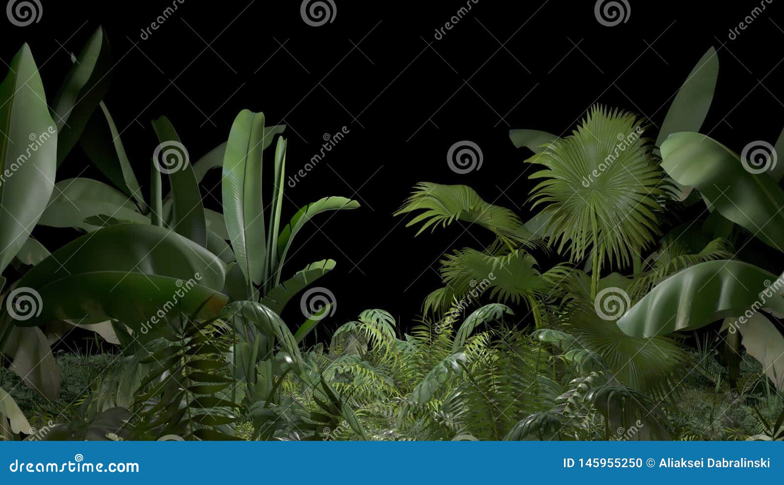 Tropical Plant on an Alpha Channel Stock Footage - Video of time ...