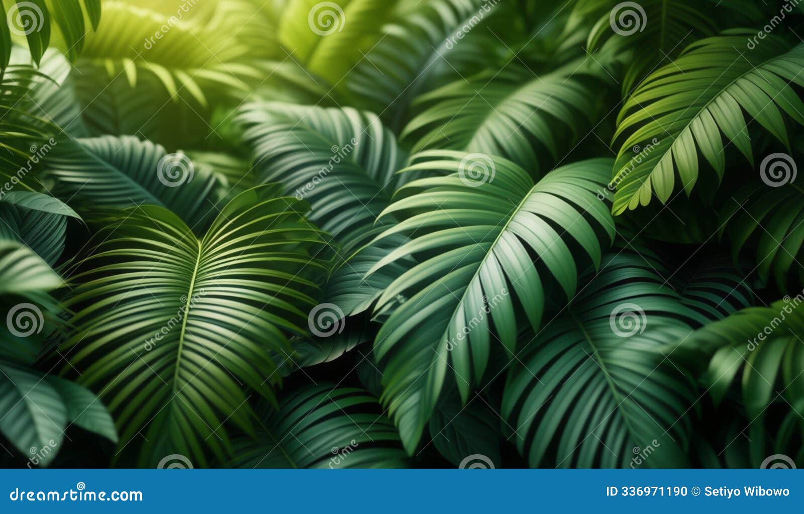 Tropical Plant Backdrops for Artistic Portrait Shoots Stock Photo ...