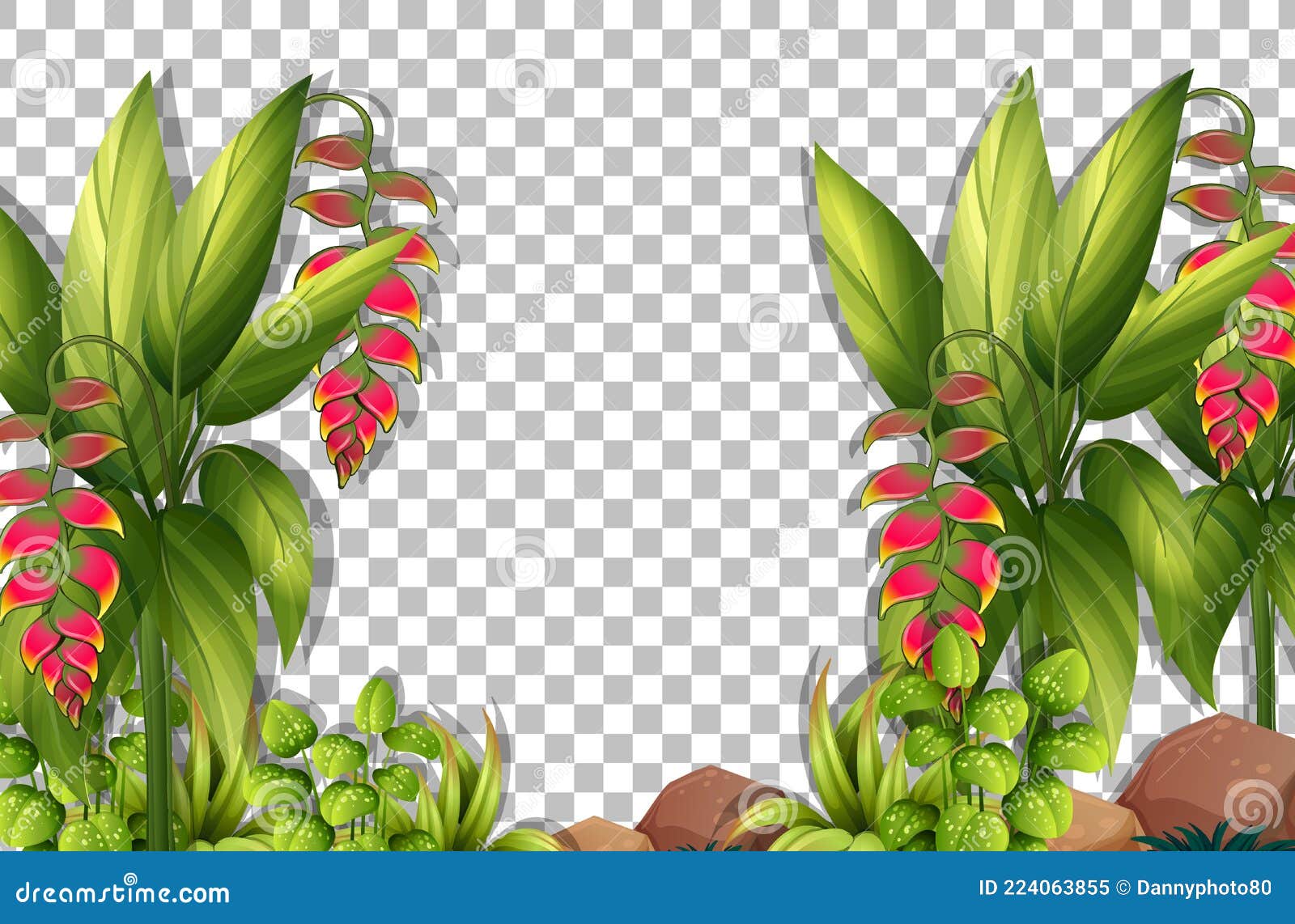 Tropical Plants and Leaves on Transparent Background Stock Vector ...