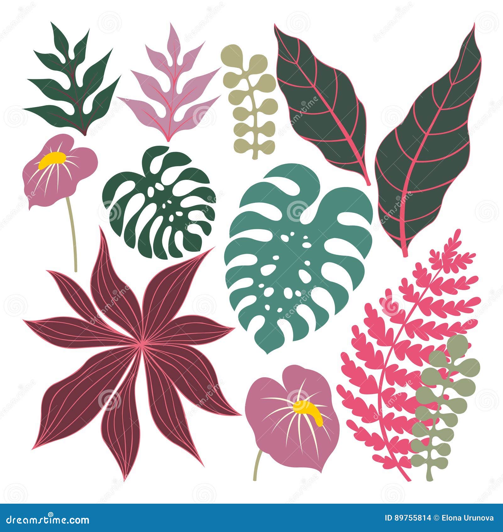 Tropical Plants and Leaves. Vector Set Stock Vector - Illustration of ...