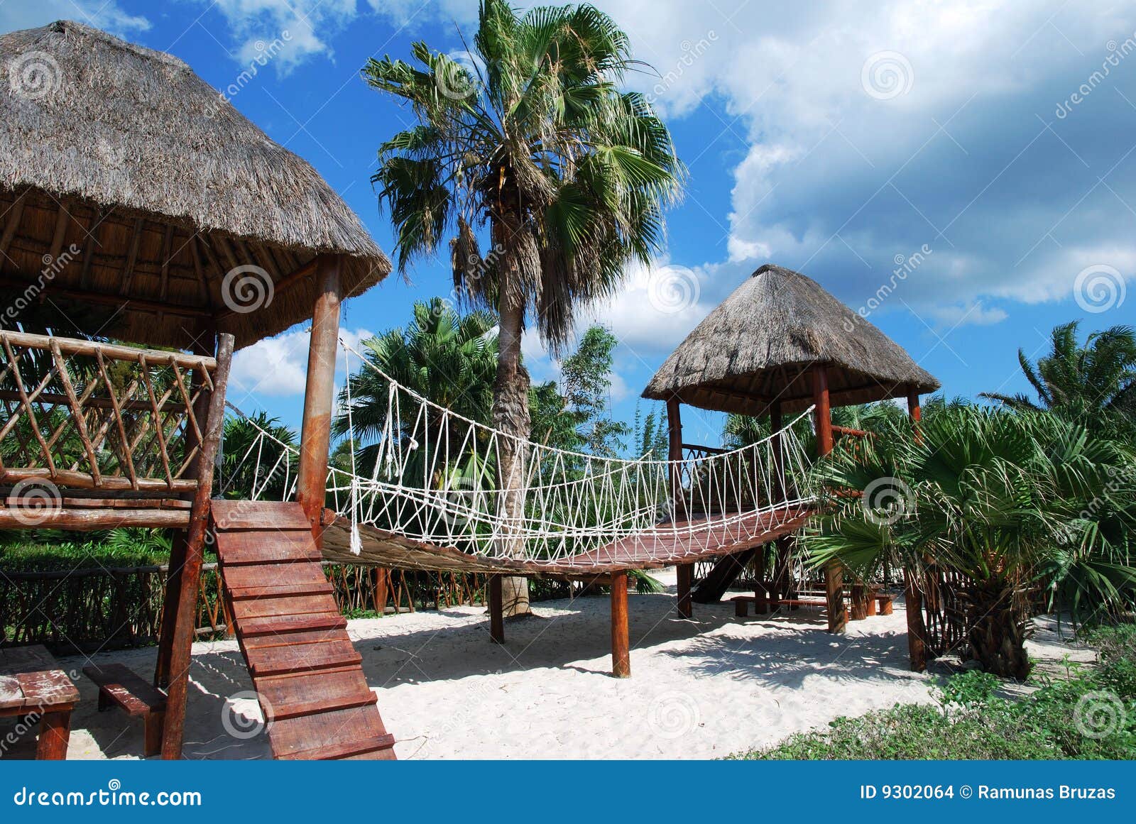 Tropical Playground stock photo. Image of vacation, outdoor - 9302064