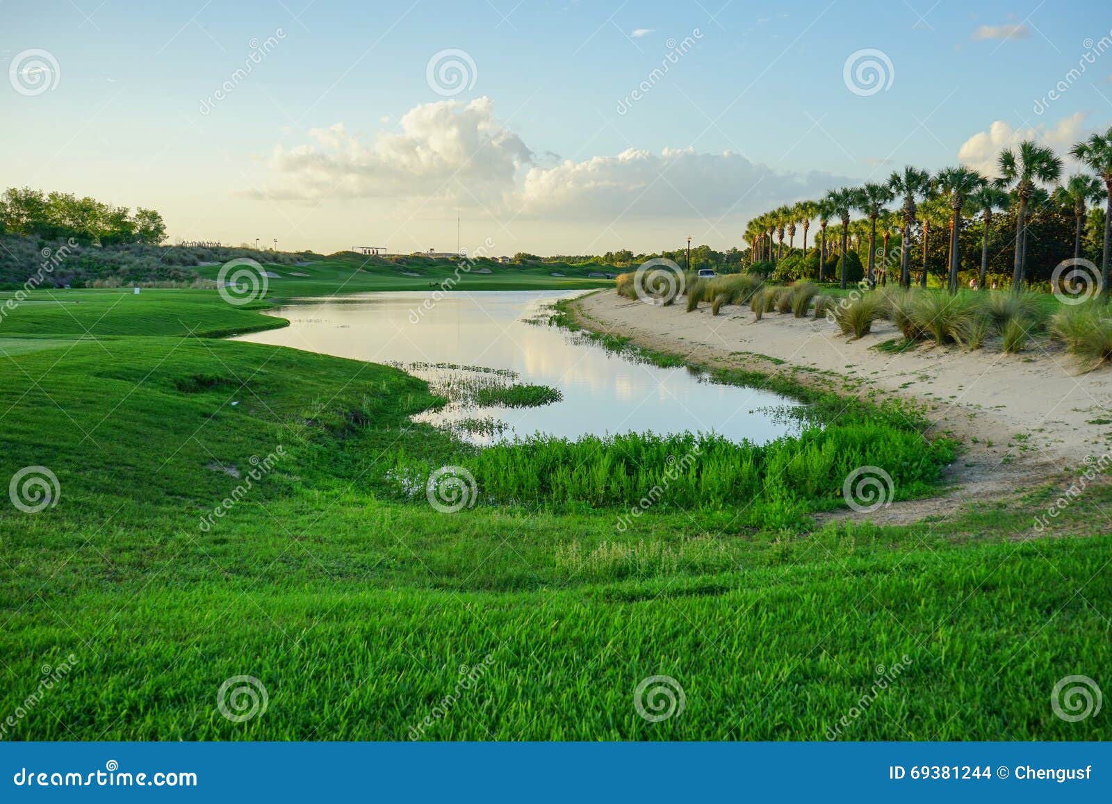 Tropical pond stock photo. Image of asleep, crocodile - 69381244