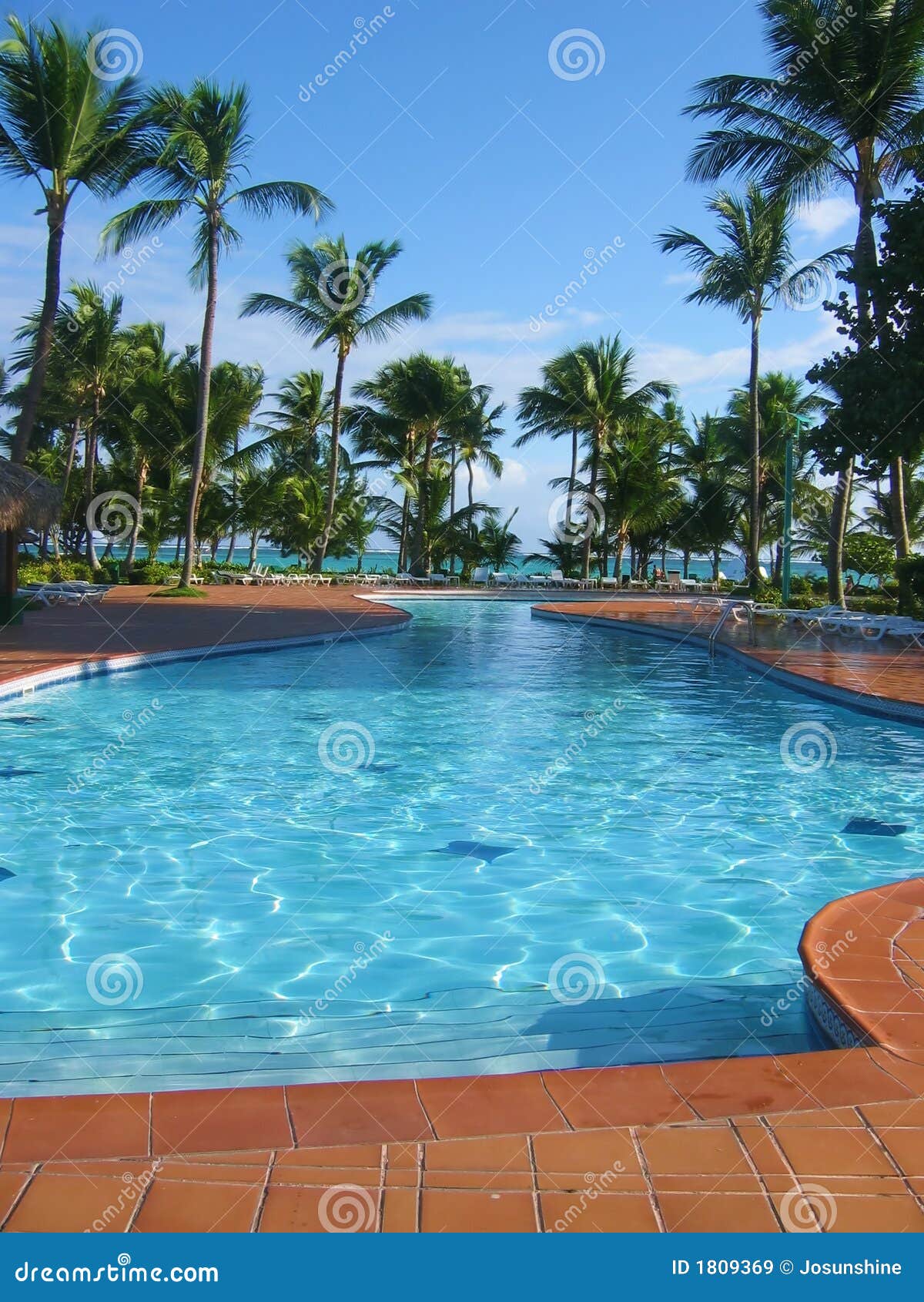 Tropical Pool stock image. Image of tourism, blue, sunny - 1809369