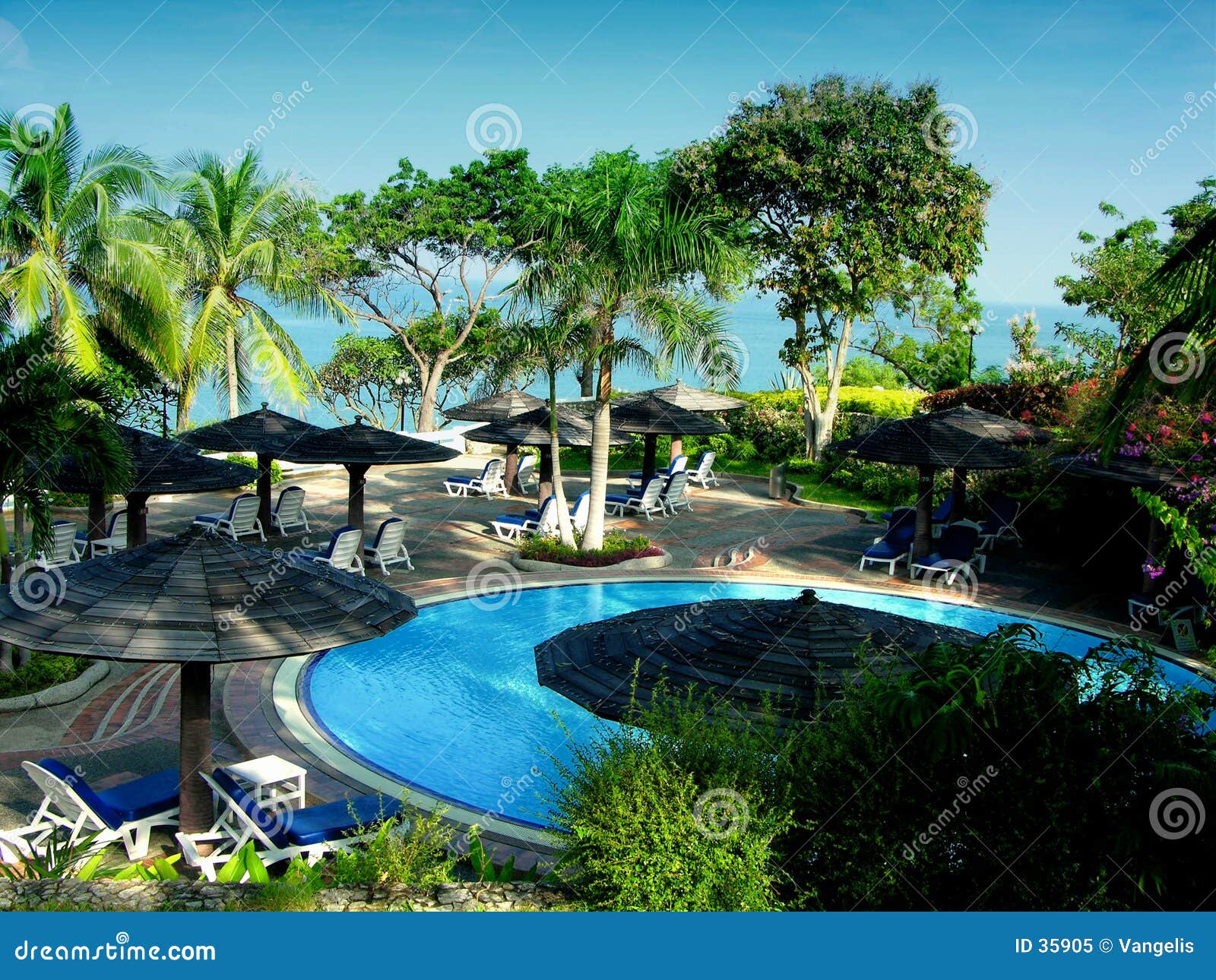 Tropical Pool stock image. Image of ocean, paradise, island - 35905