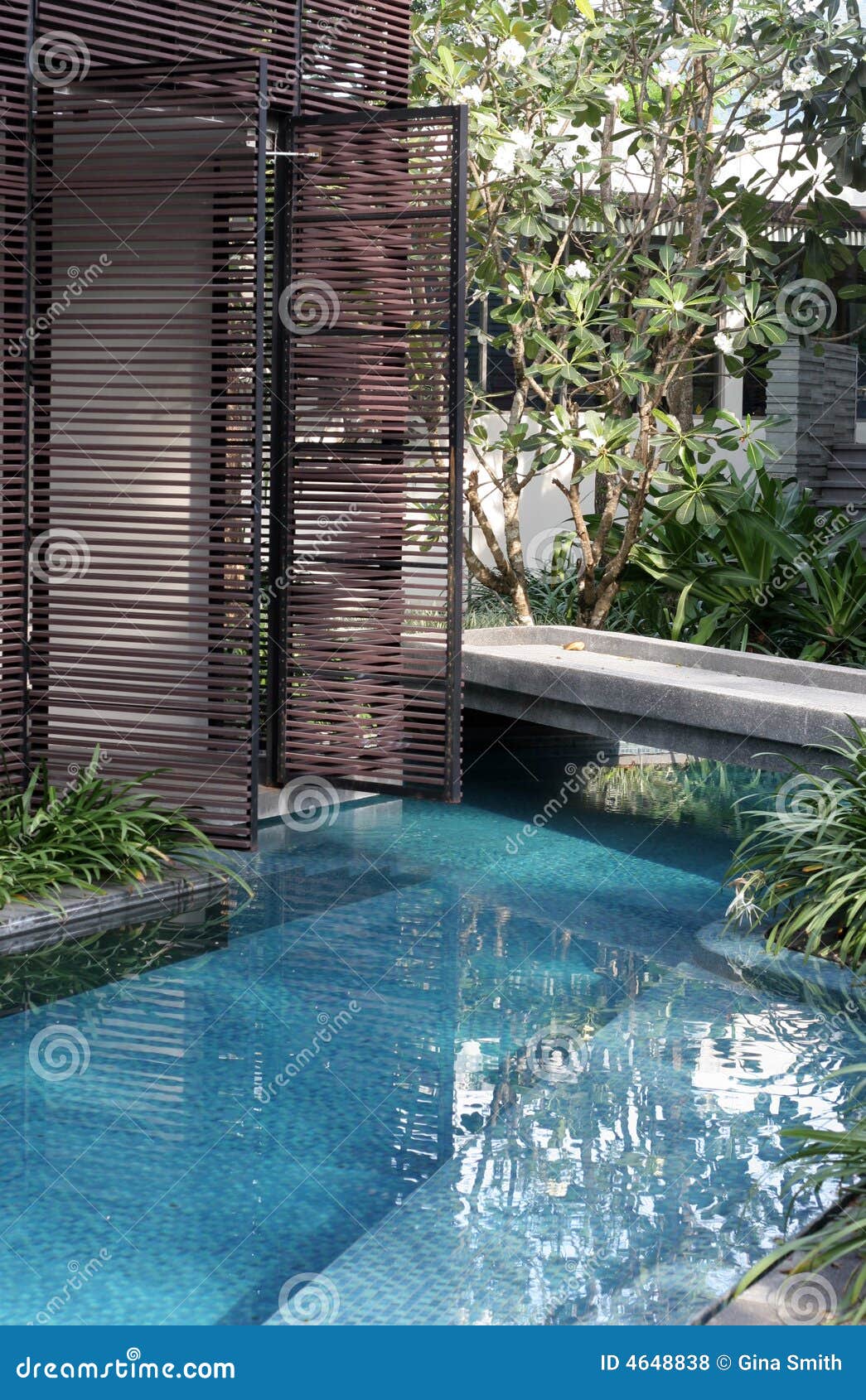 Tropical pool area stock photo. Image of doorway, designer - 4648838