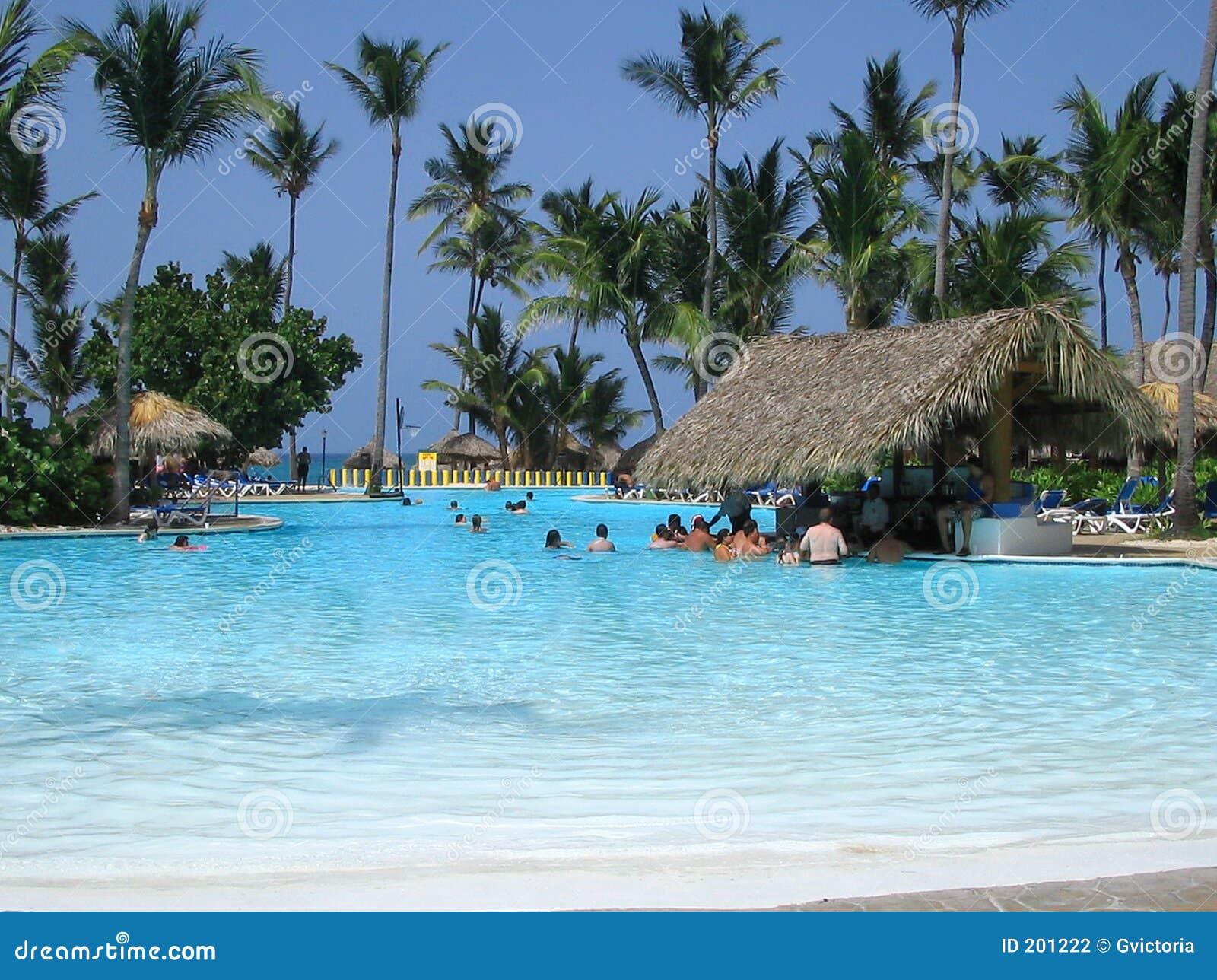 Tropical Pool bar stock photo. Image of summer, huts, summertime - 201222