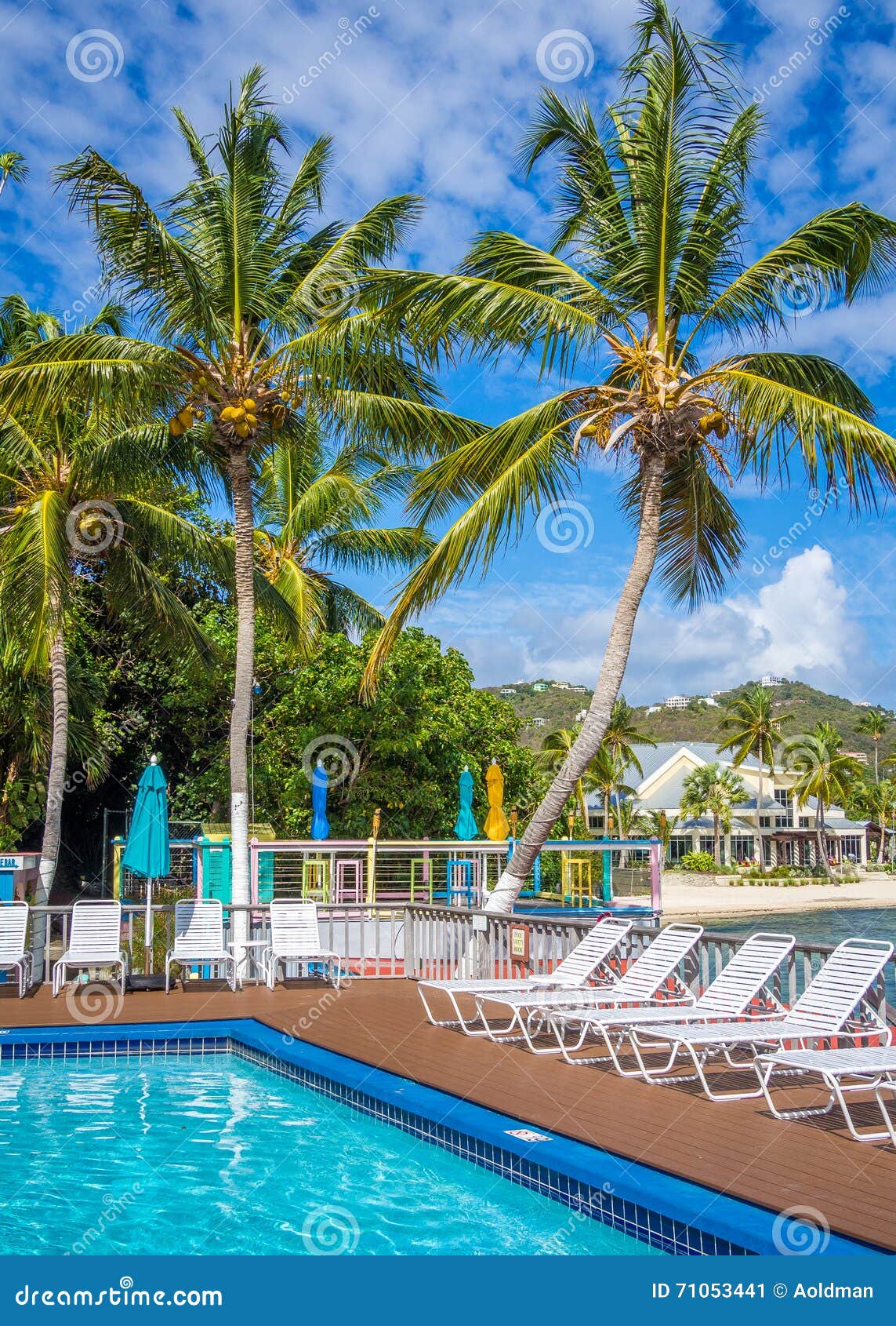 Tropical pool stock image. Image of nature, exterior - 71053441