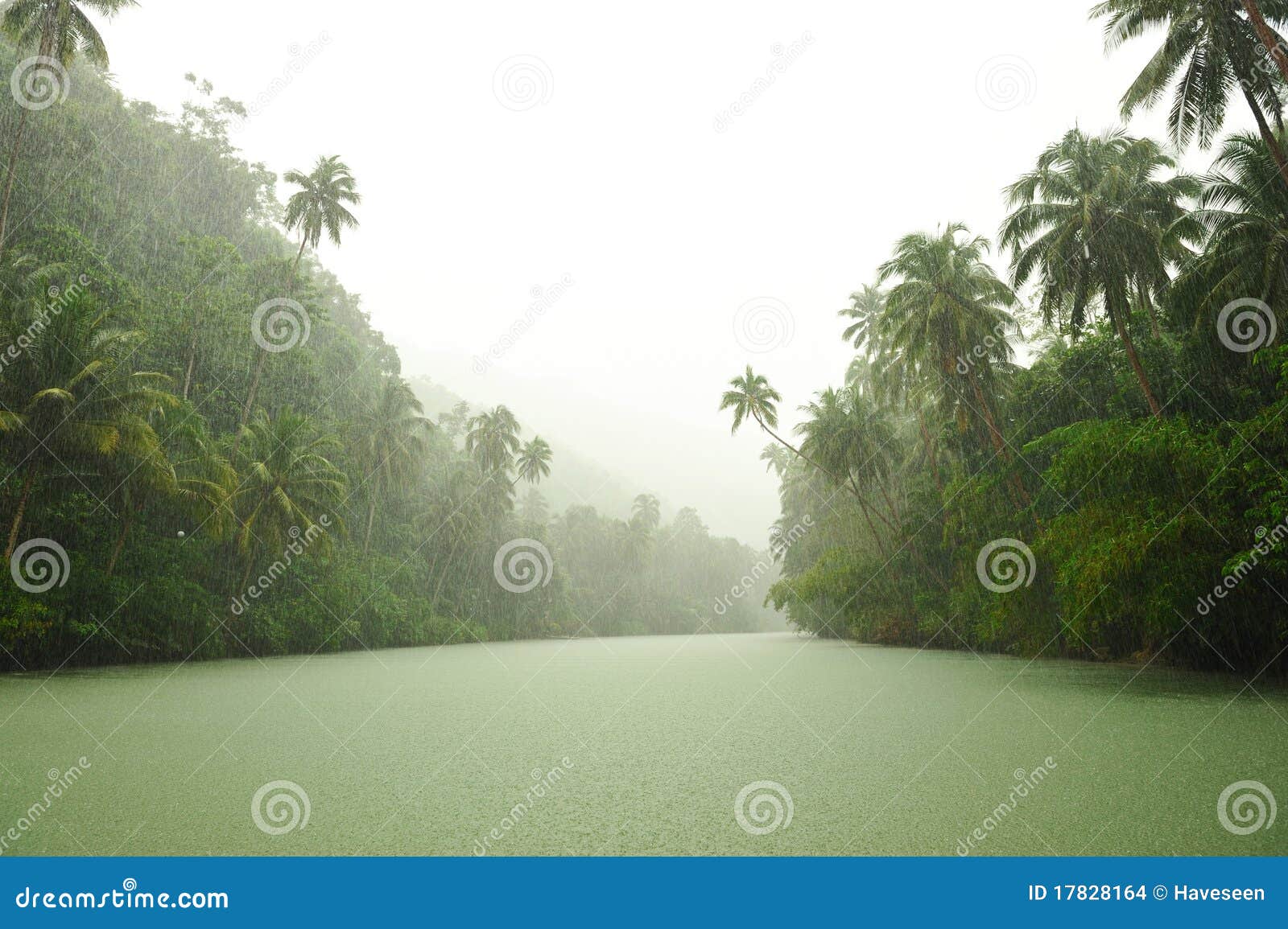 Tropical rain above river stock photo. Image of flowing - 17828164