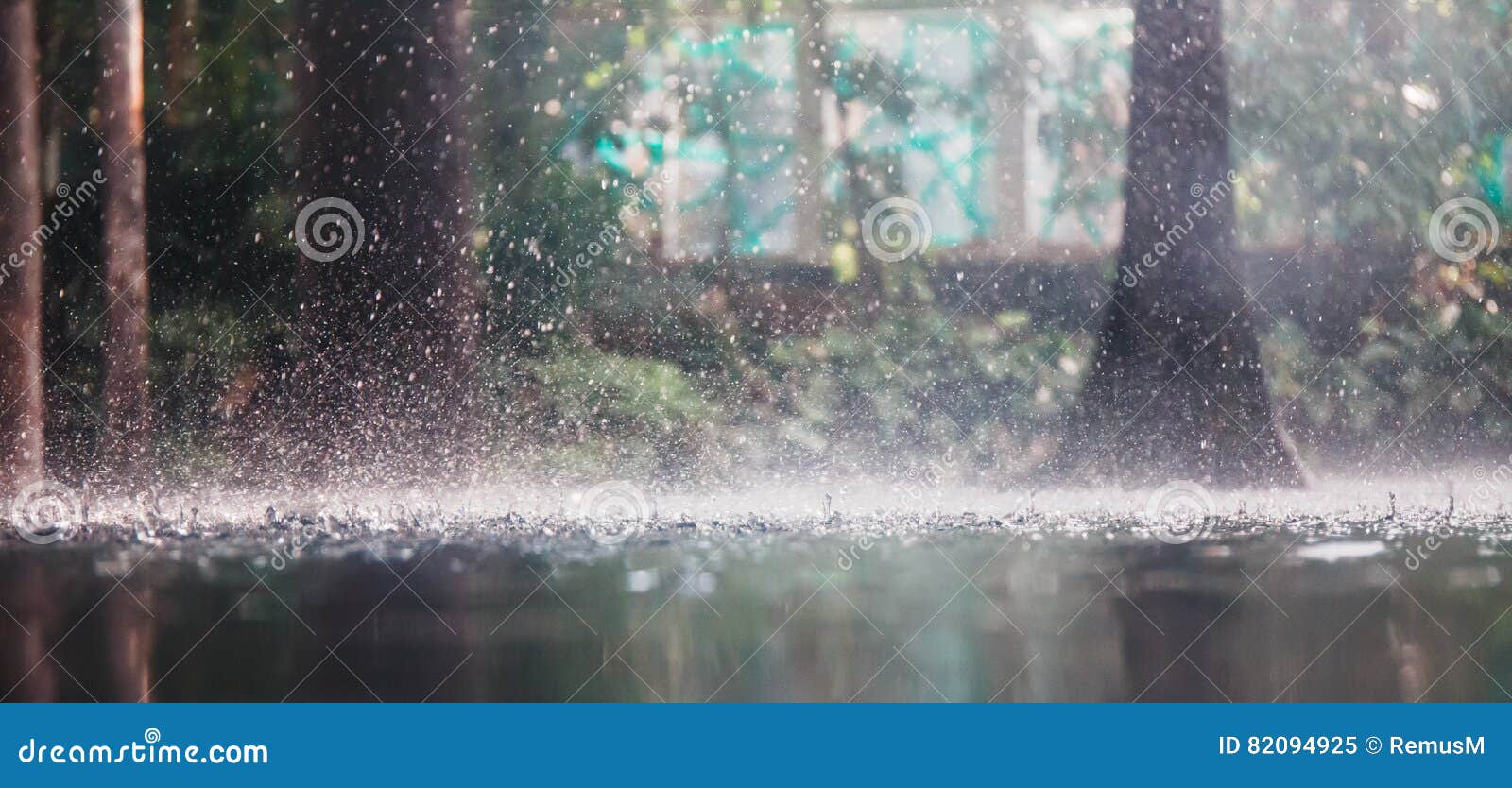 Tropical rain. stock image. Image of leaf, park, explore - 82094925