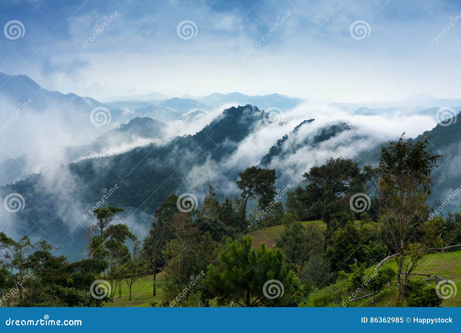 Tropical Rain Forest and Mountain Landscape Stock Image - Image of ...