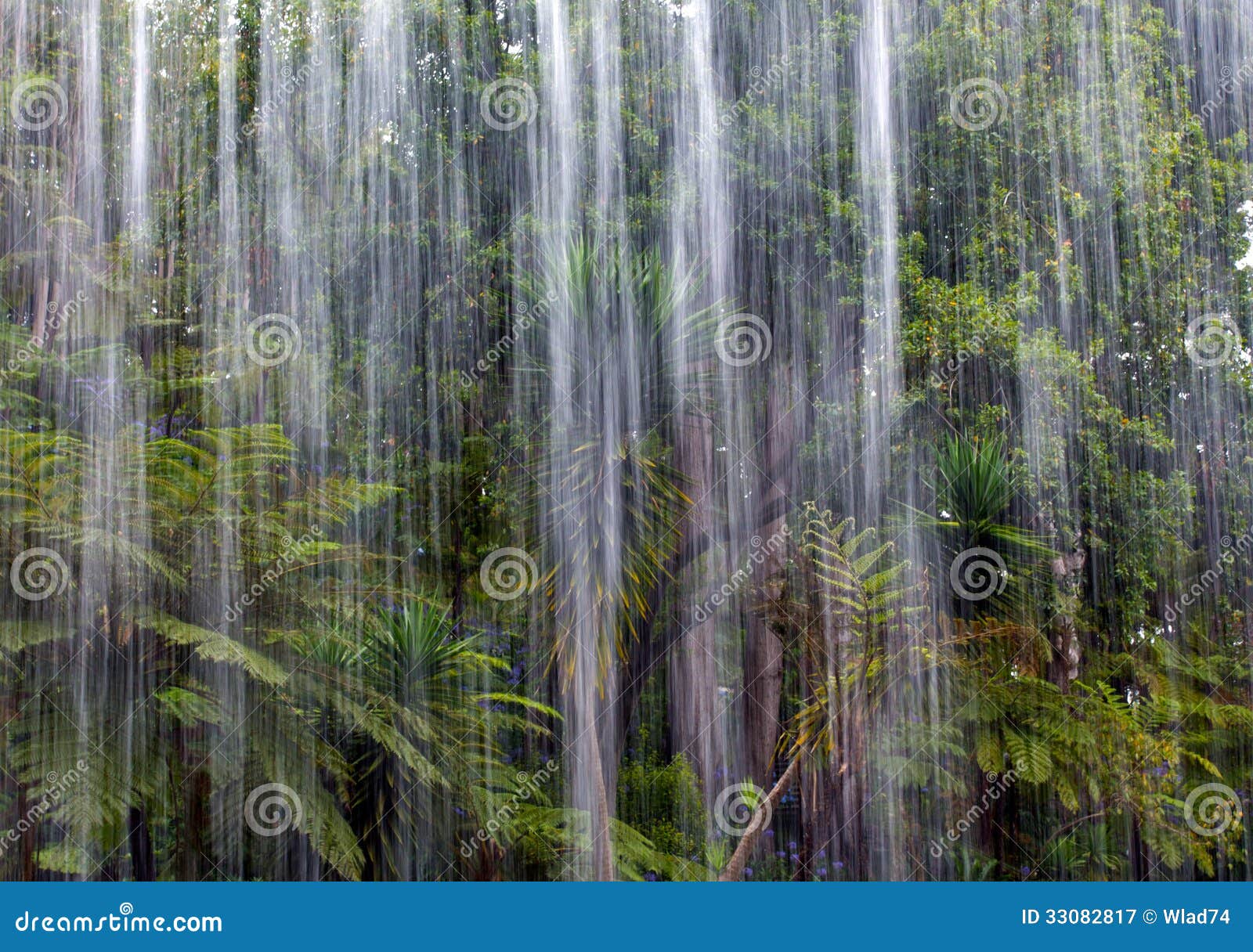 Tropical Rain in the Jungle Stock Image - Image of trees, monsoon: 33082817